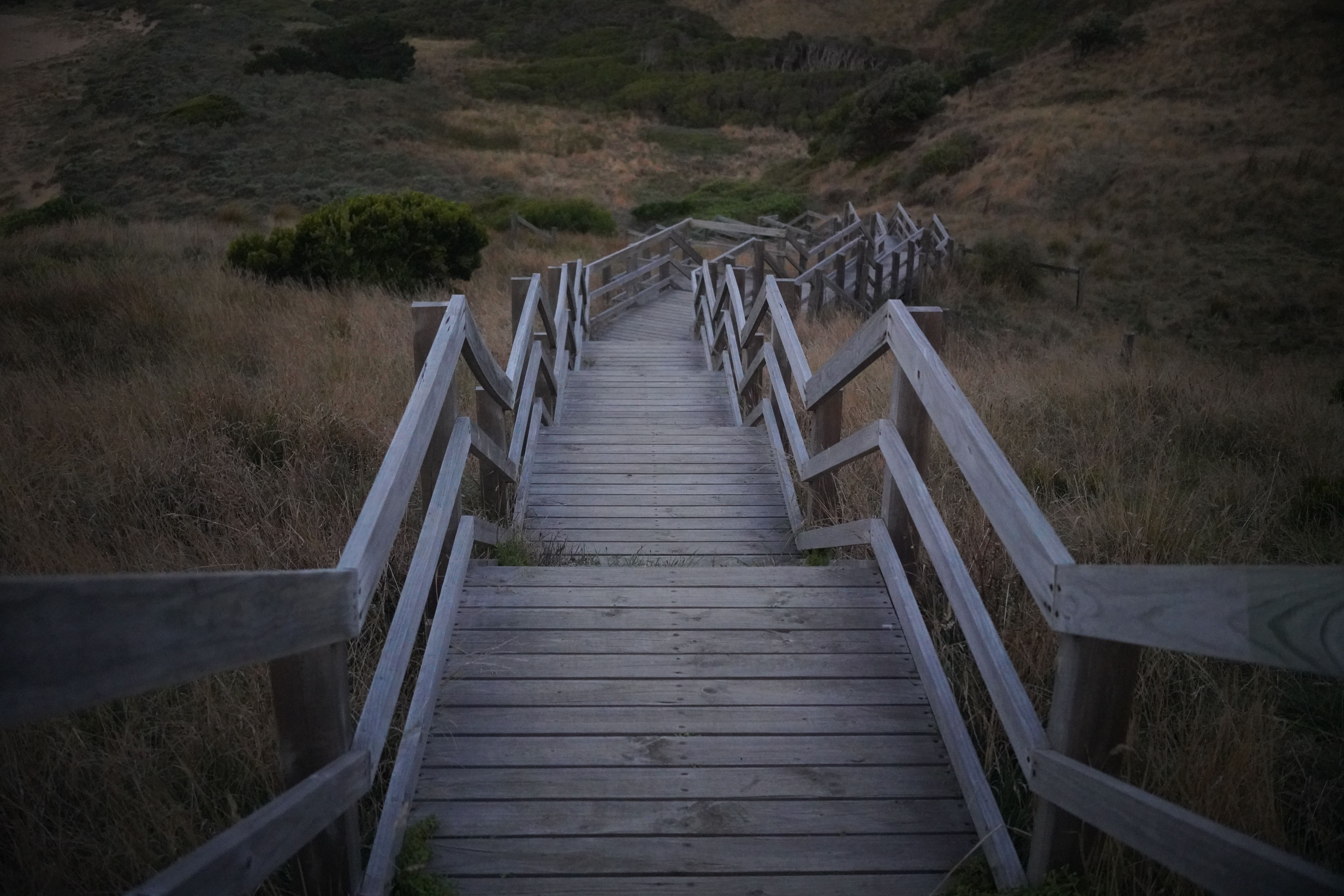 Boardwalk Leading down a Hill · Free Stock Photo