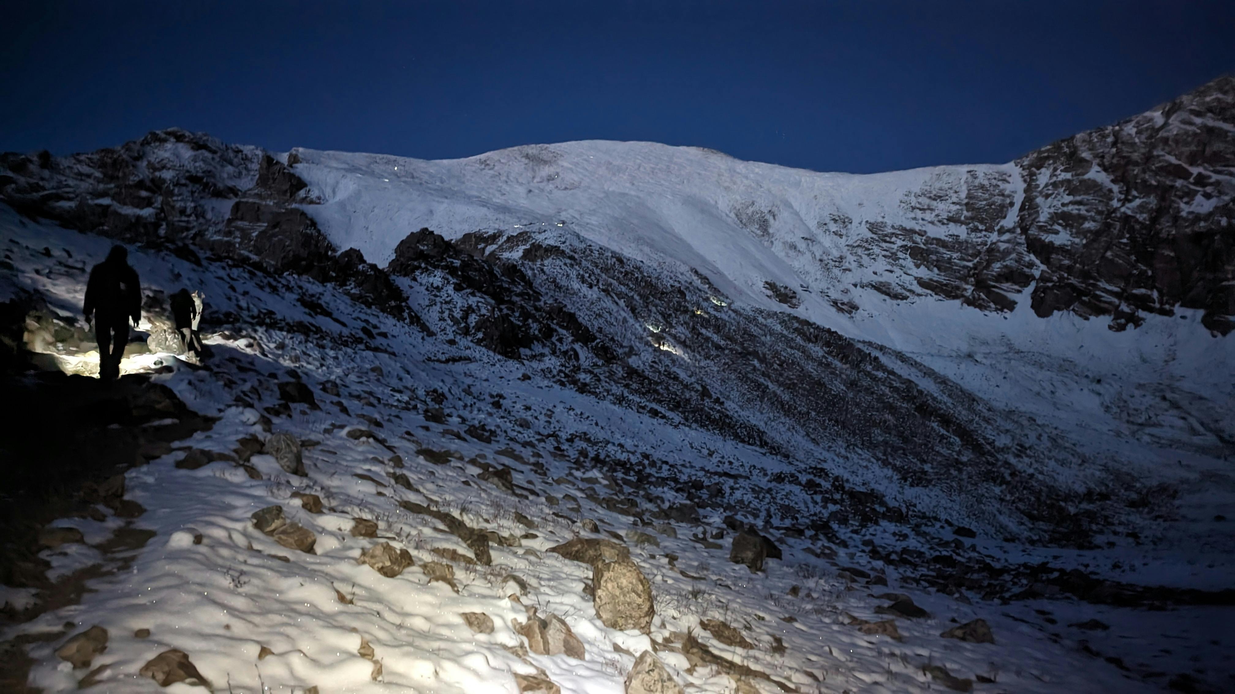 Joseph Simms - 摄影