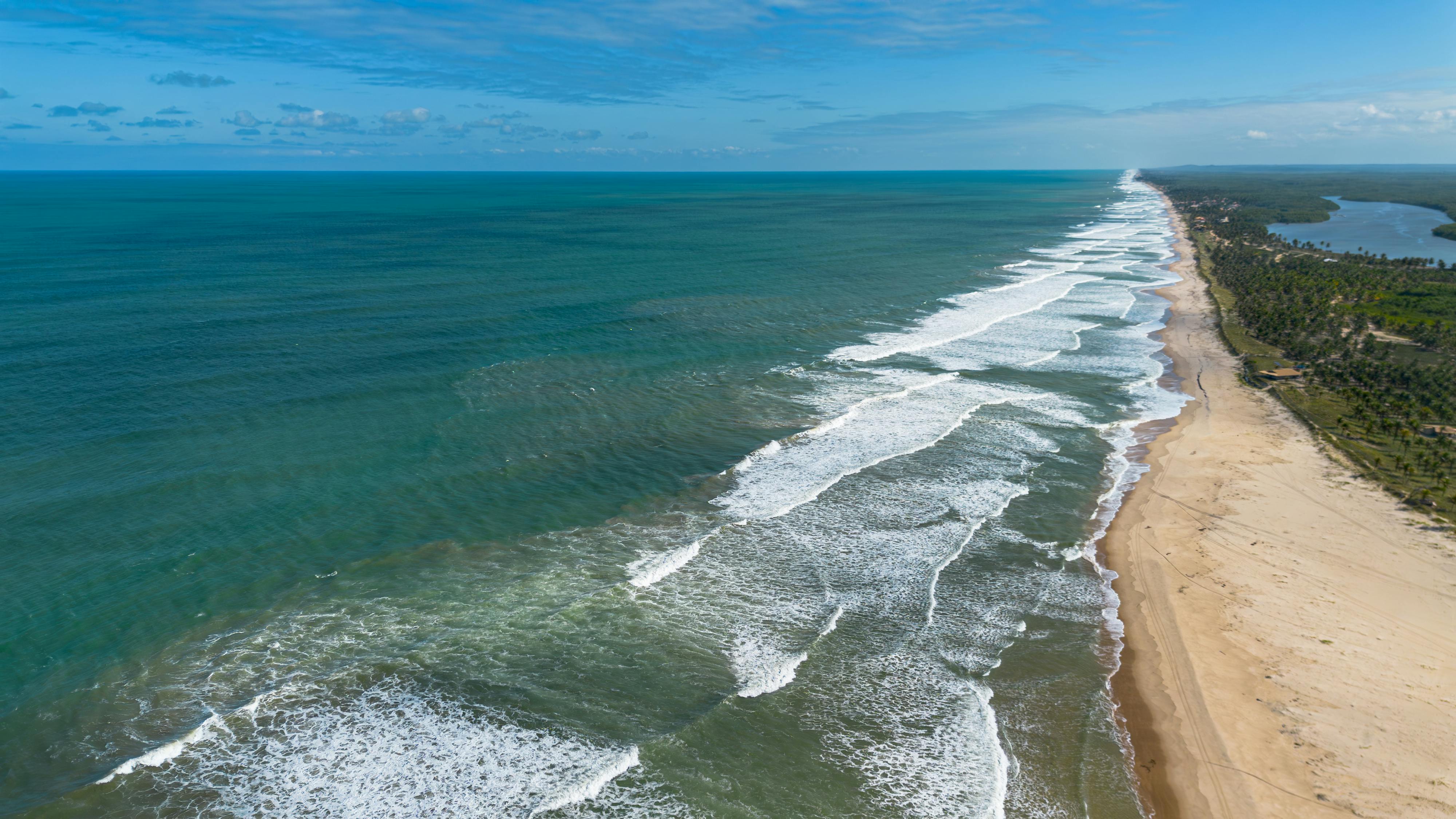 Wave Gothic Meet Photos, Download The BEST Free Wave Gothic Meet Stock ...