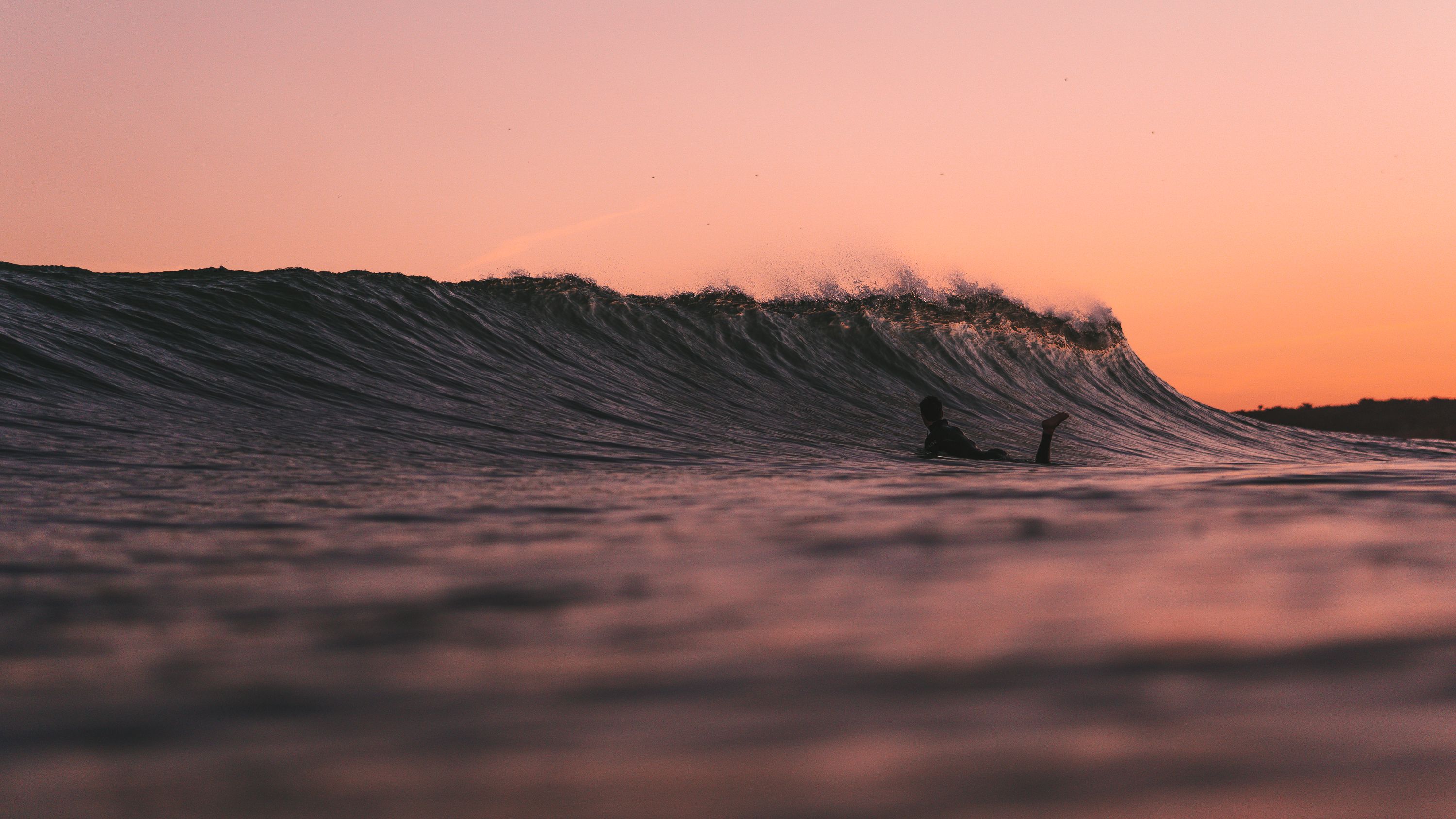 Surfer near Wave at Sunset · Free Stock Photo