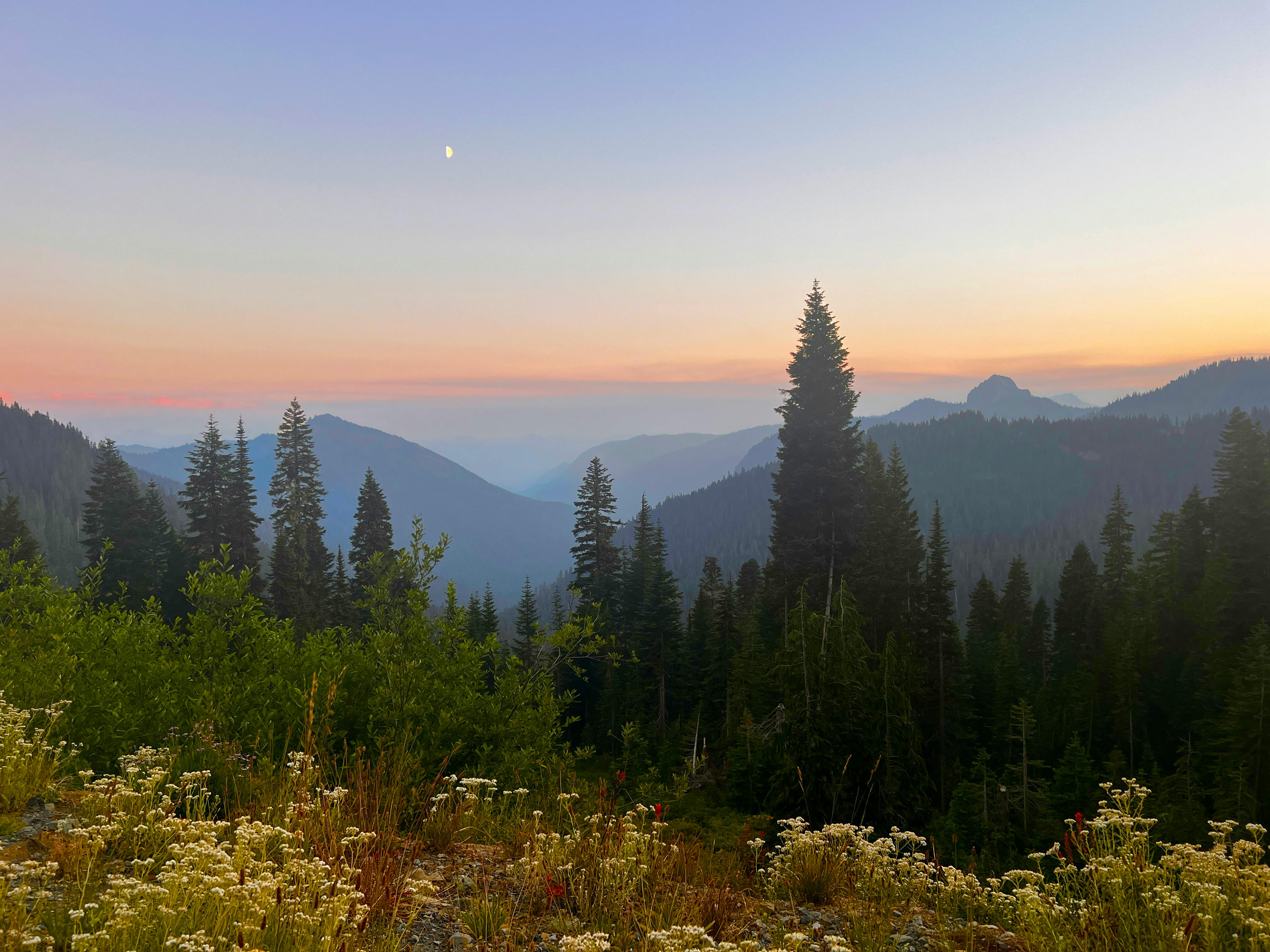 Renee Sande – Fotografia