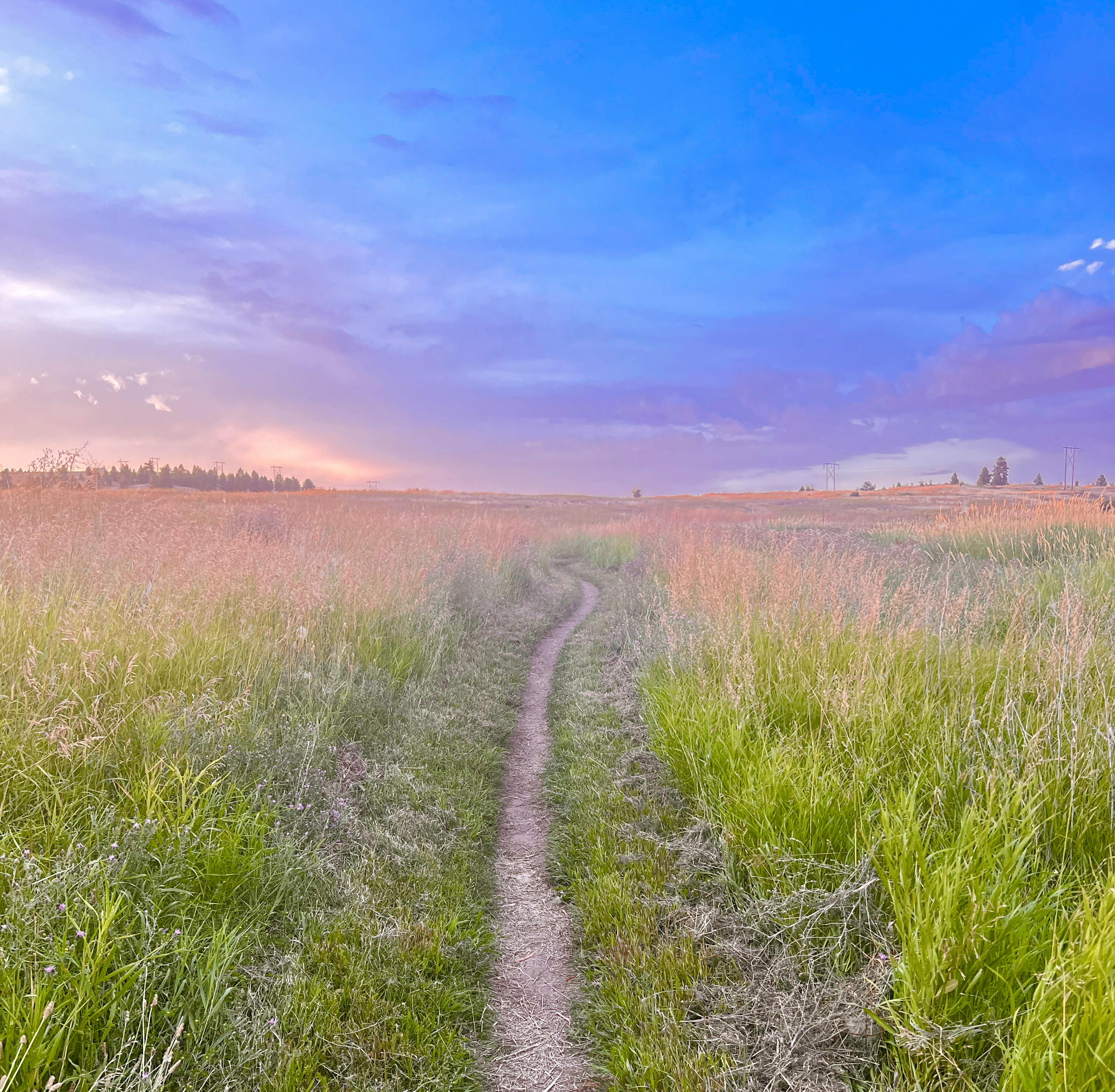 Renee Sande – Fotografia