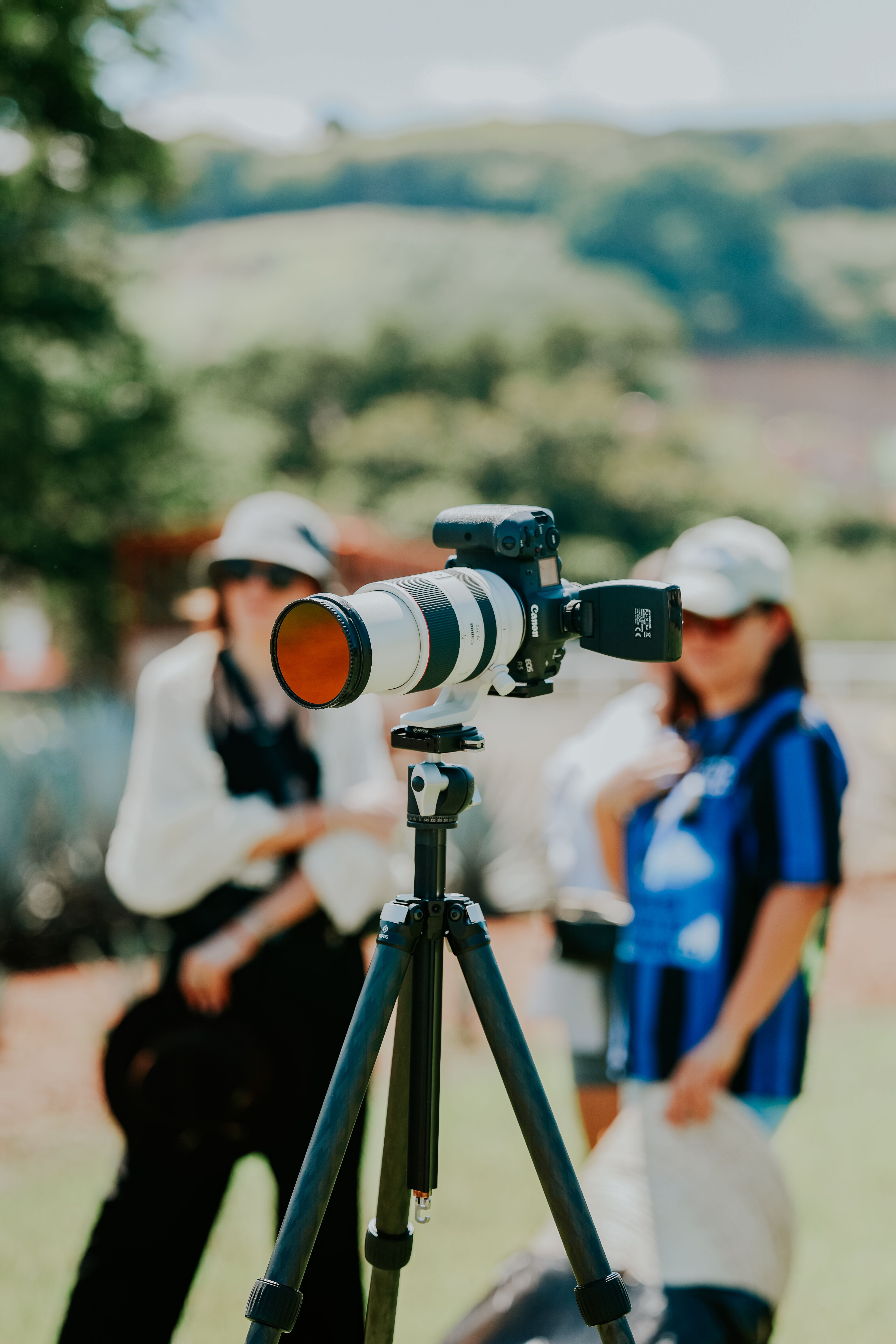 Professionalism Photos, Download The BEST Free Professionalism Stock ...