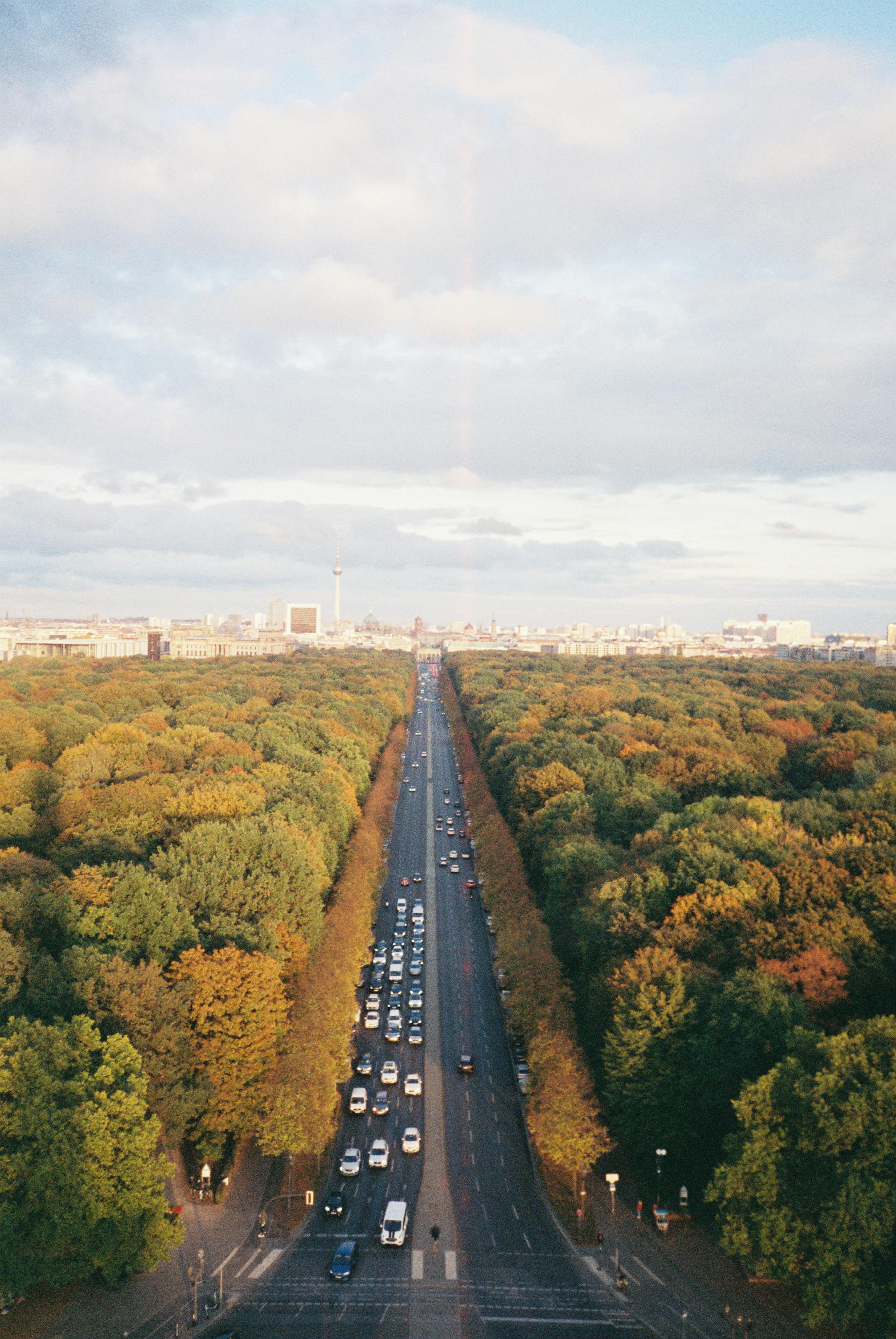 Avenue Among Trees in Berlin, Germany · Free Stock Photo