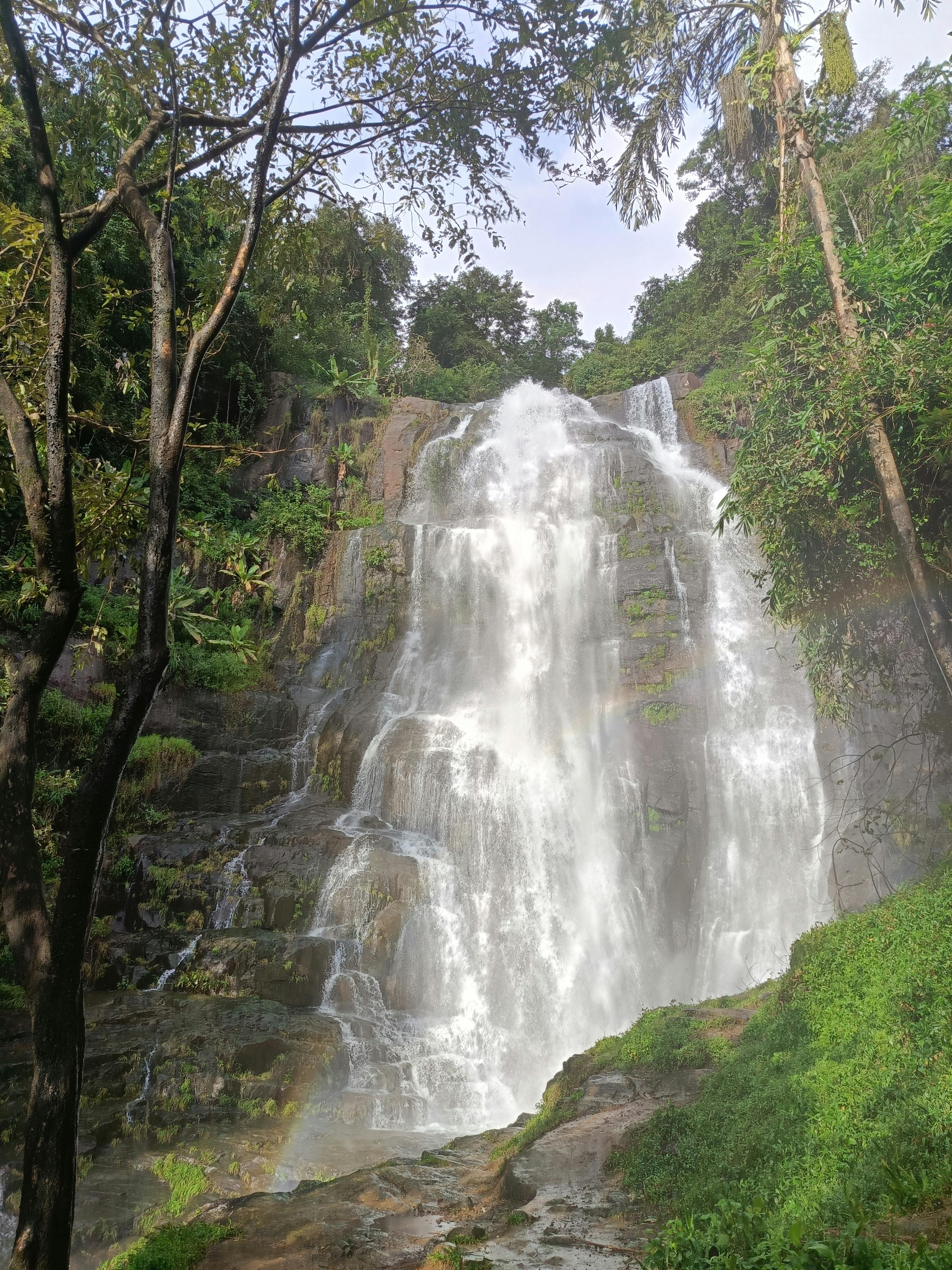 Noel Mathew - 사진