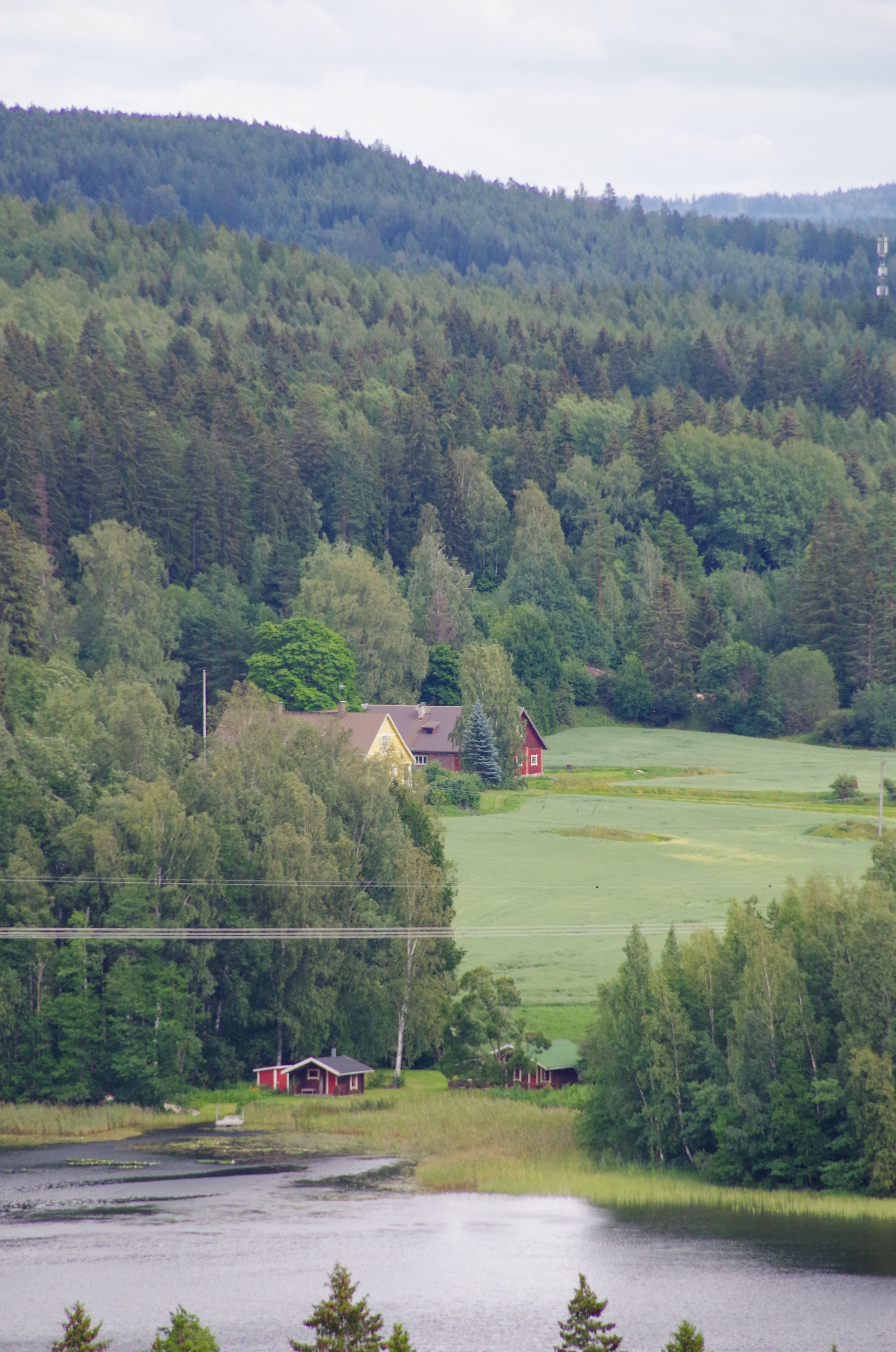 Farm by the Forest on a Hillside · Free Stock Photo