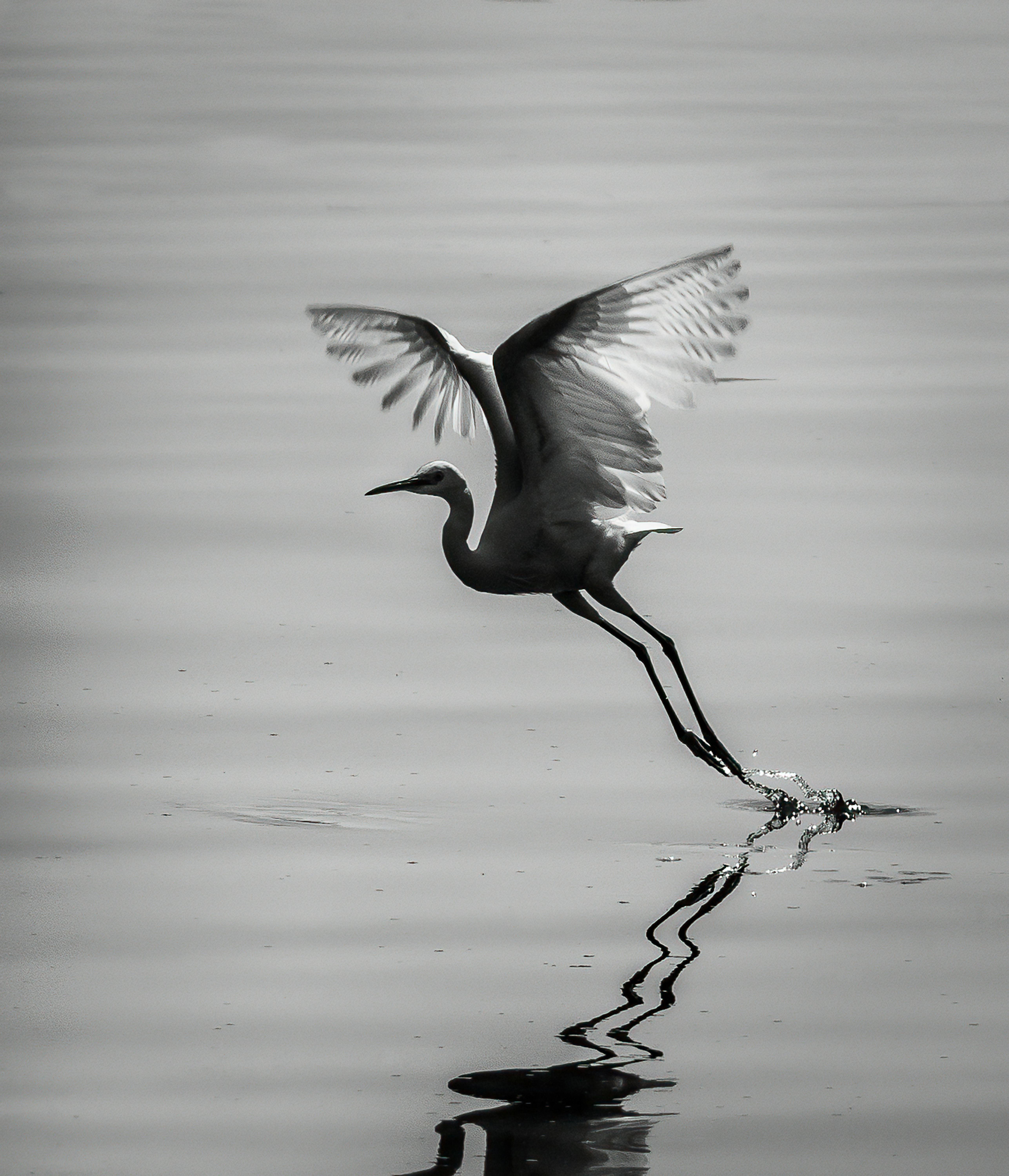 take off · Free Stock Photo