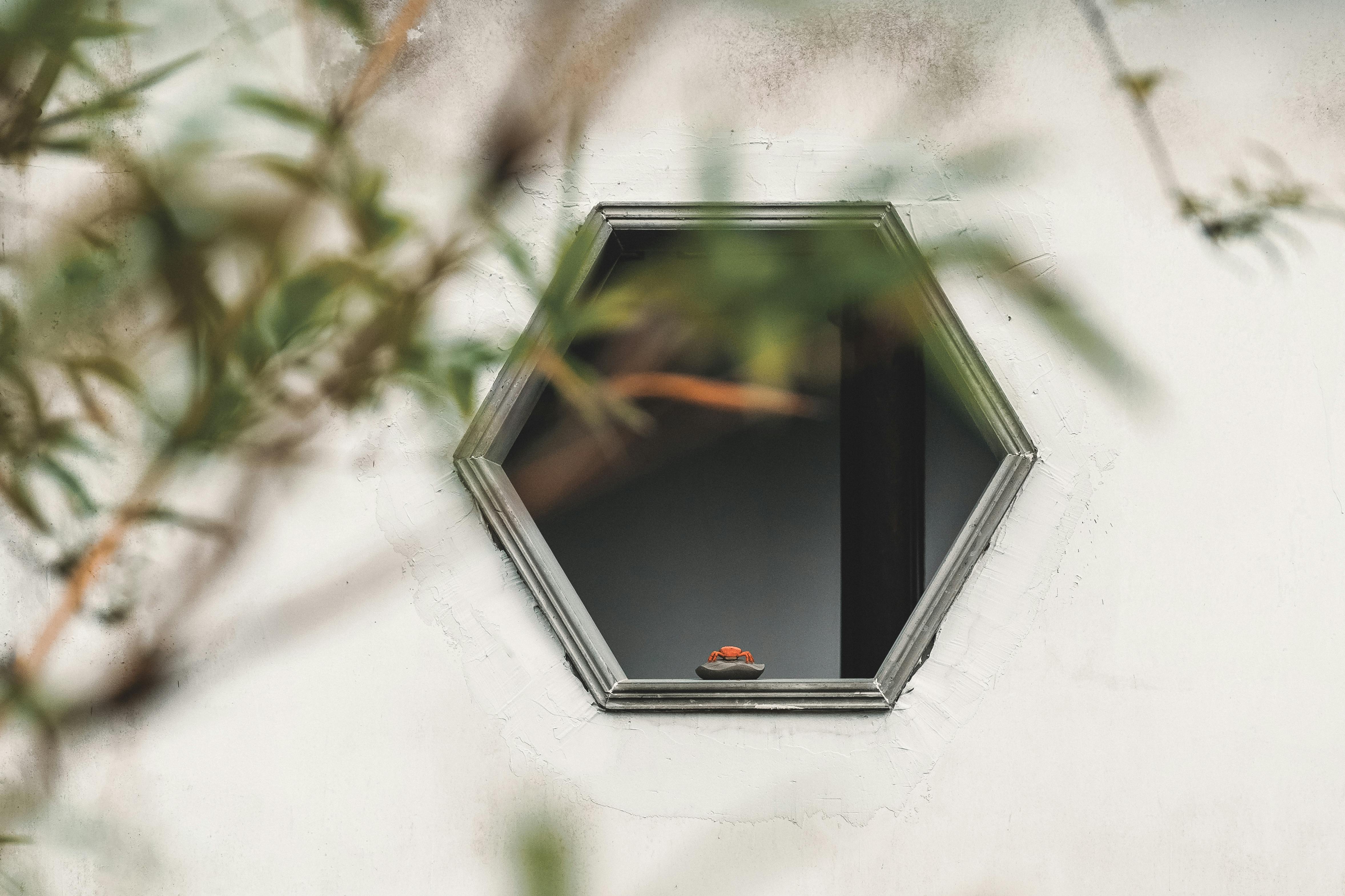 Hexagonal Window Photos, Download The BEST Free Hexagonal Window Stock ...