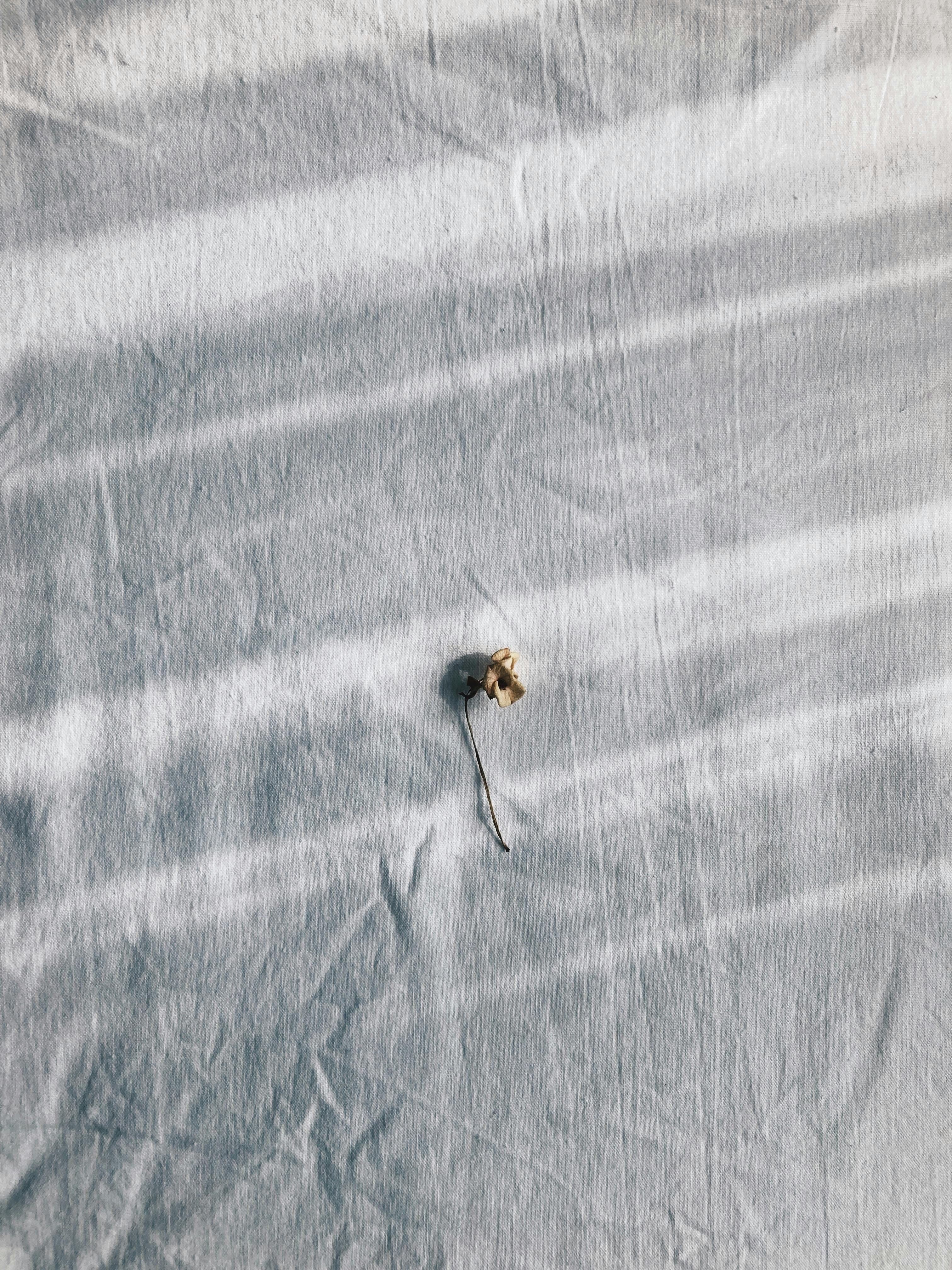 Sparse Scene Photos, Download The BEST Free Sparse Scene Stock Photos ...