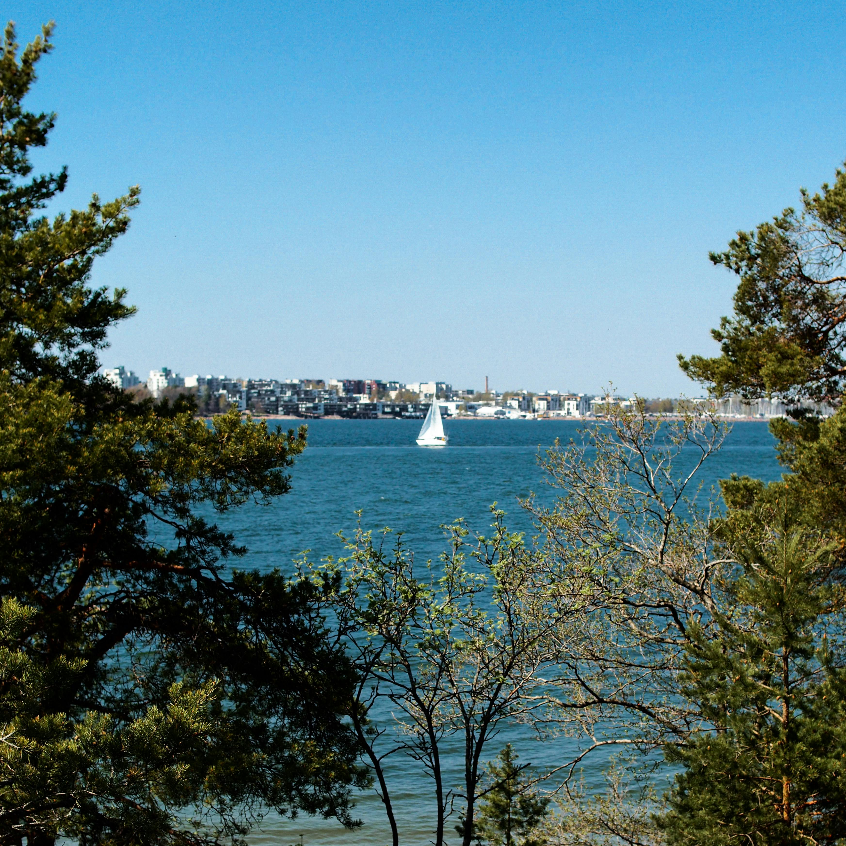 A sailboat is sailing on the water near trees · Free Stock Photo