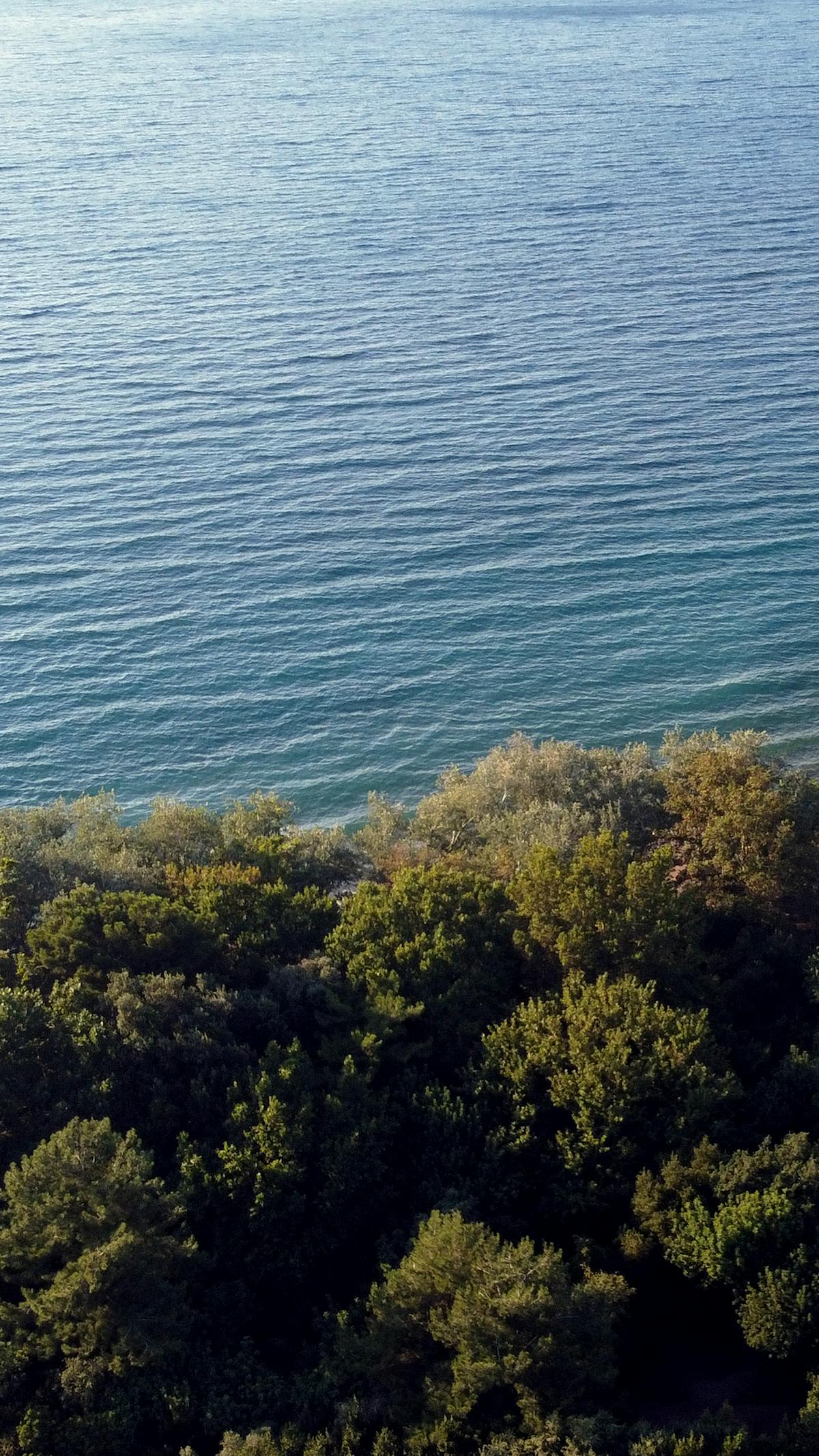 Dove Cliff Photos, Download The BEST Free Dove Cliff Stock Photos & HD ...