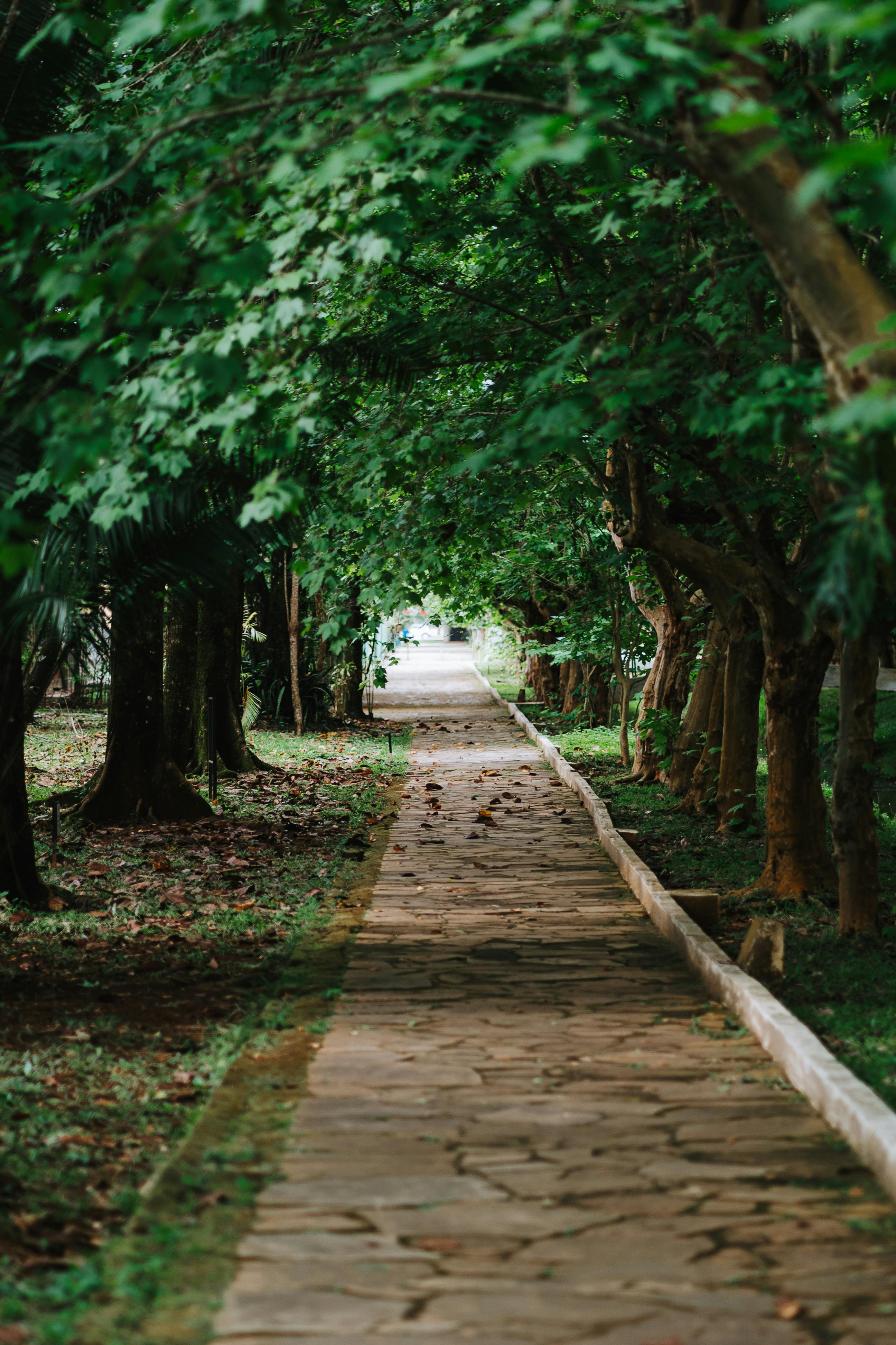 10.288+ Fotos y Imágenes de Two paths Gratis · Banco de Fotos Gratis