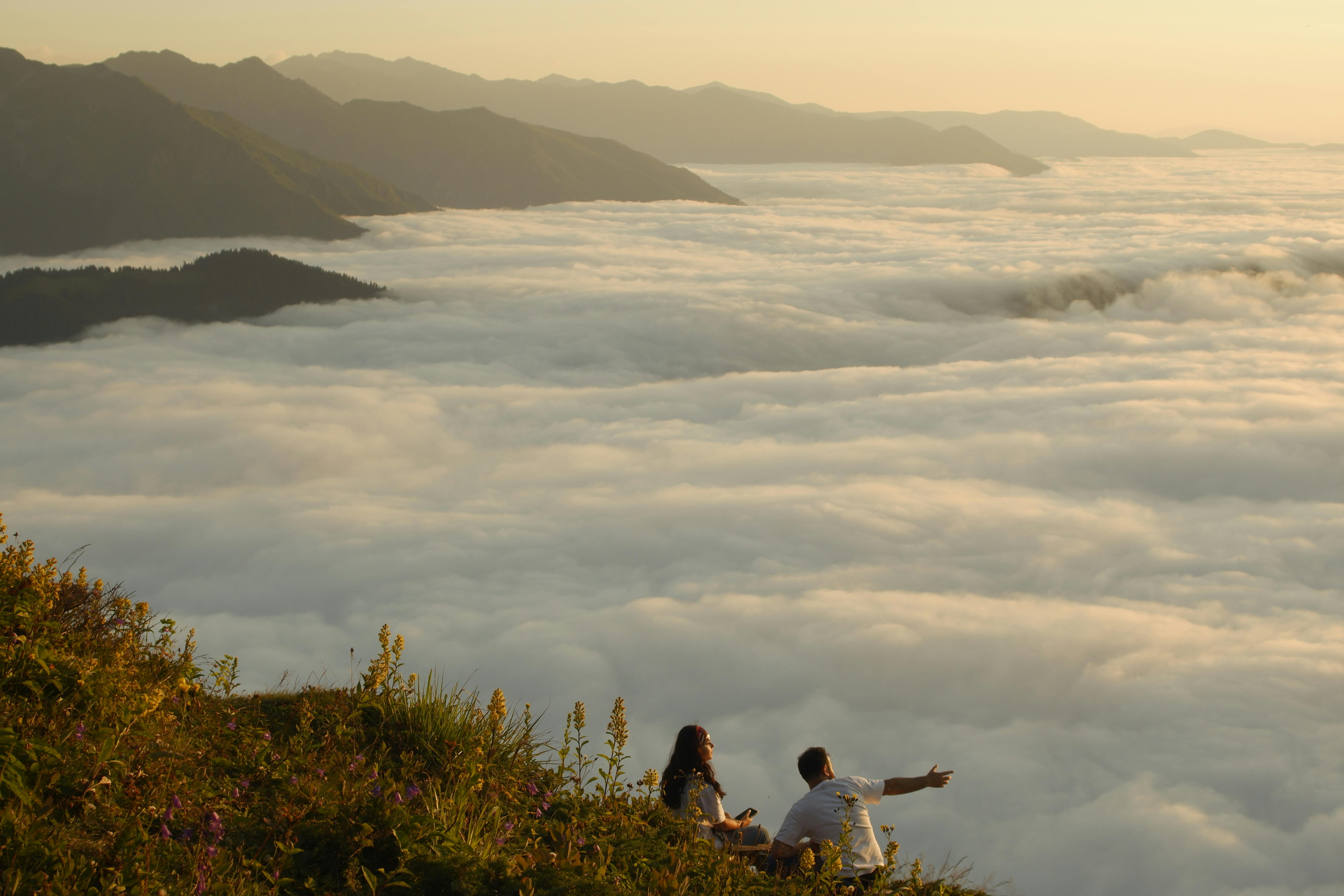 A Couple Sitting on the Gass · Free Stock Photo