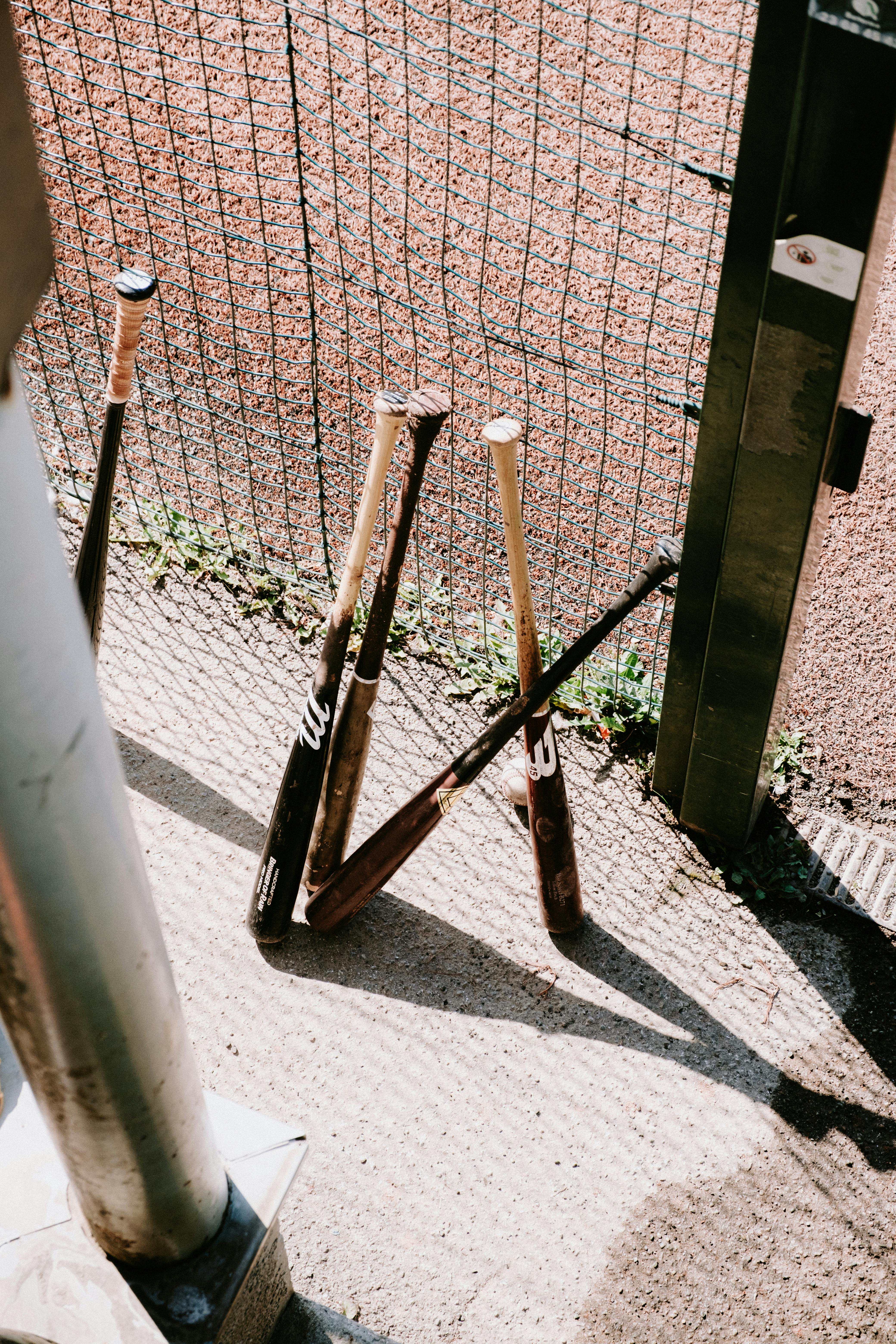 Baseball Bats by Fence · Free Stock Photo