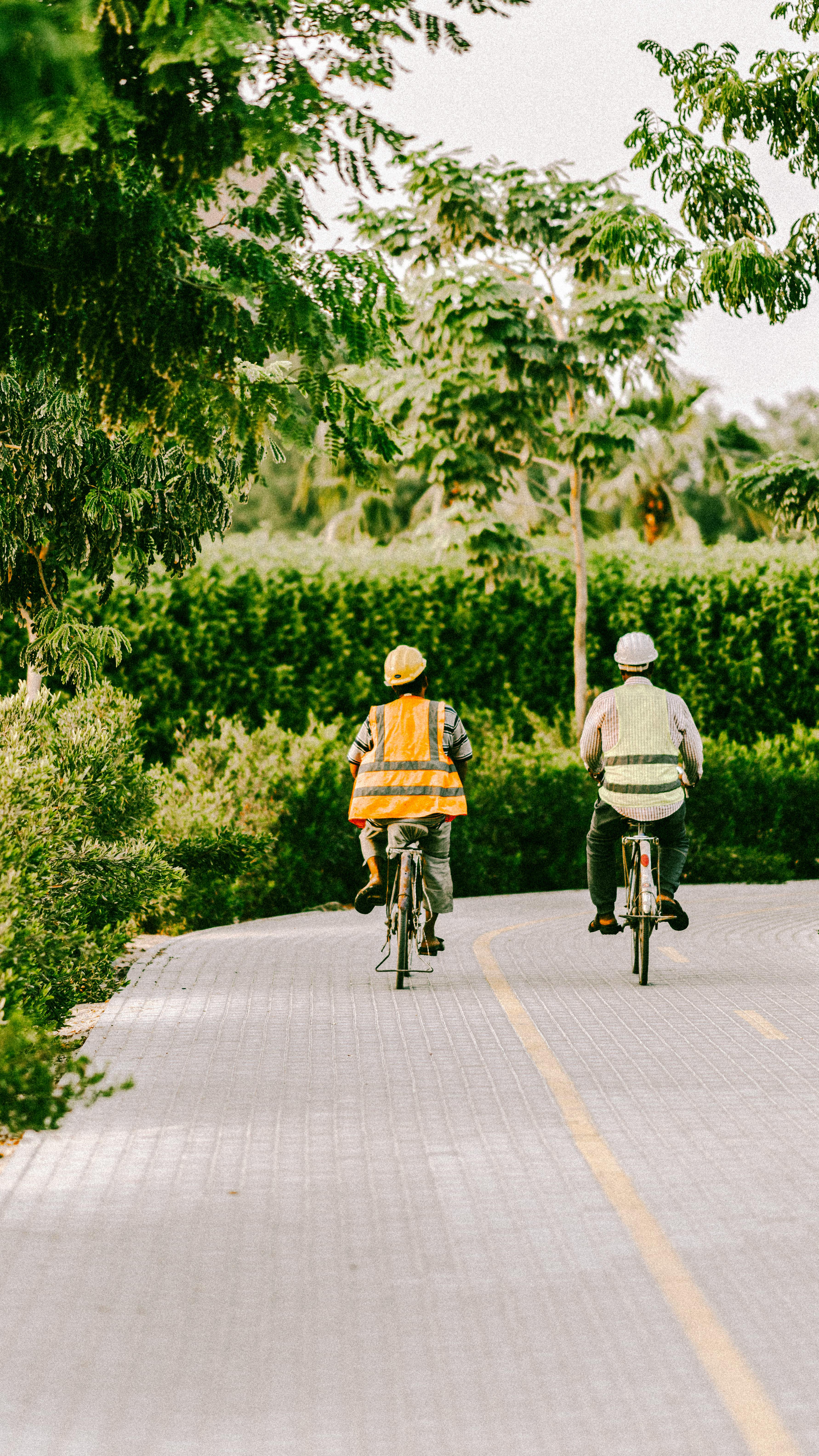 People in High Visibility Vests and Helmets Riding Bicycles on a Bike ...
