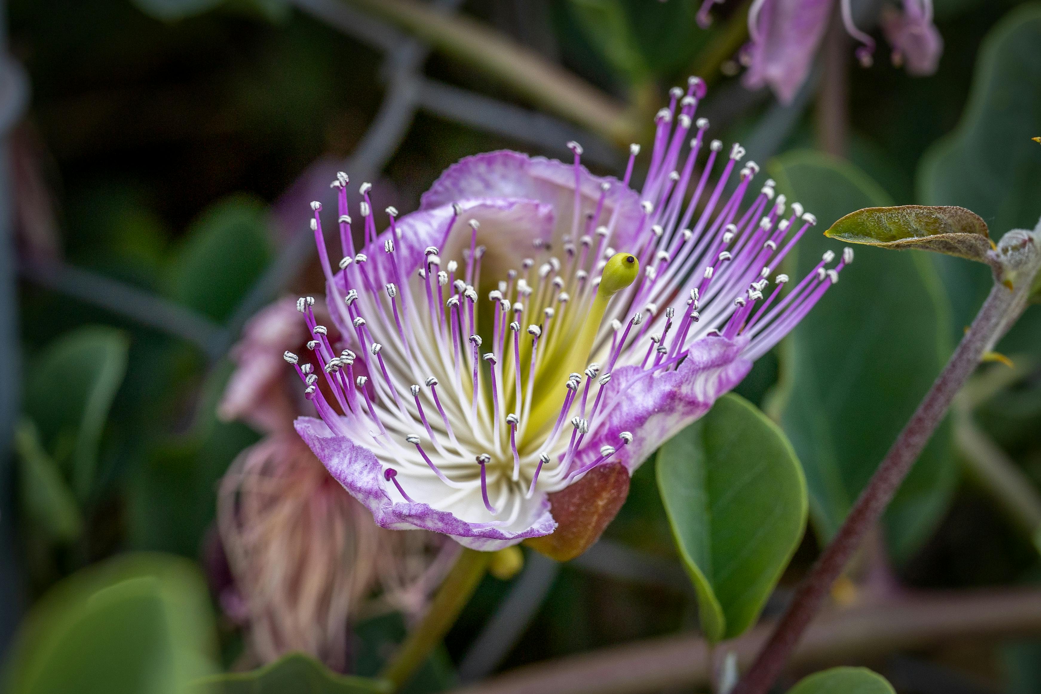 Allan Watson - Photography