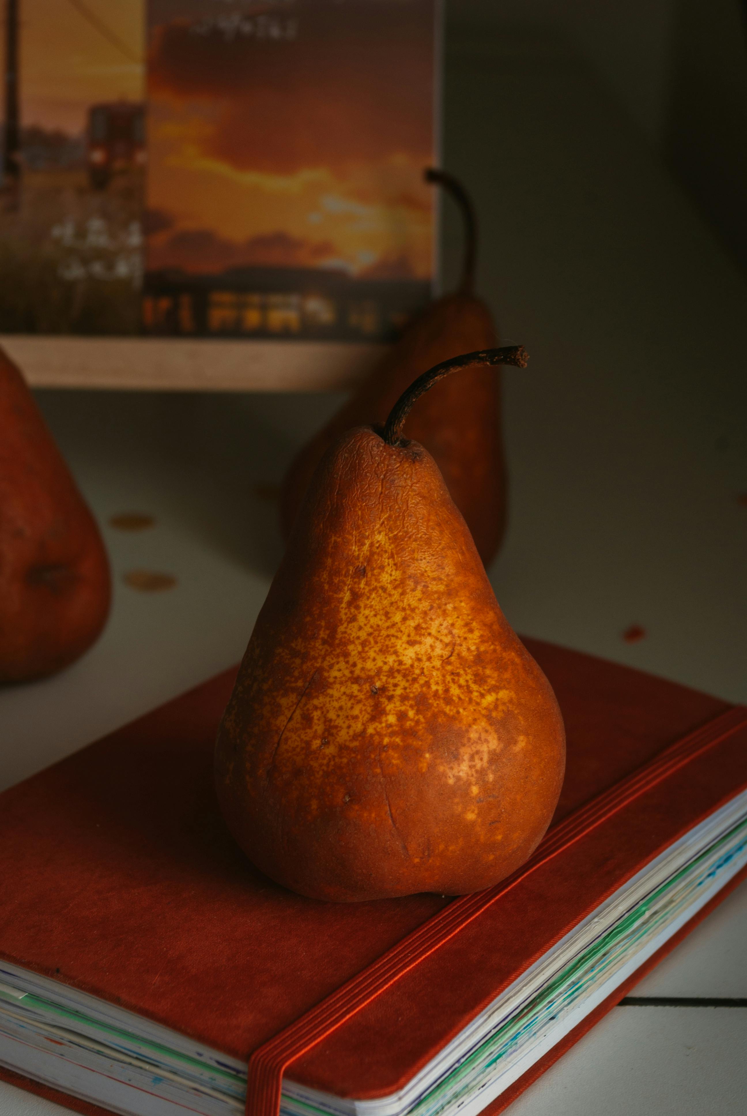 Dark Notebook Photos, Download The BEST Free Dark Notebook Stock Photos ...