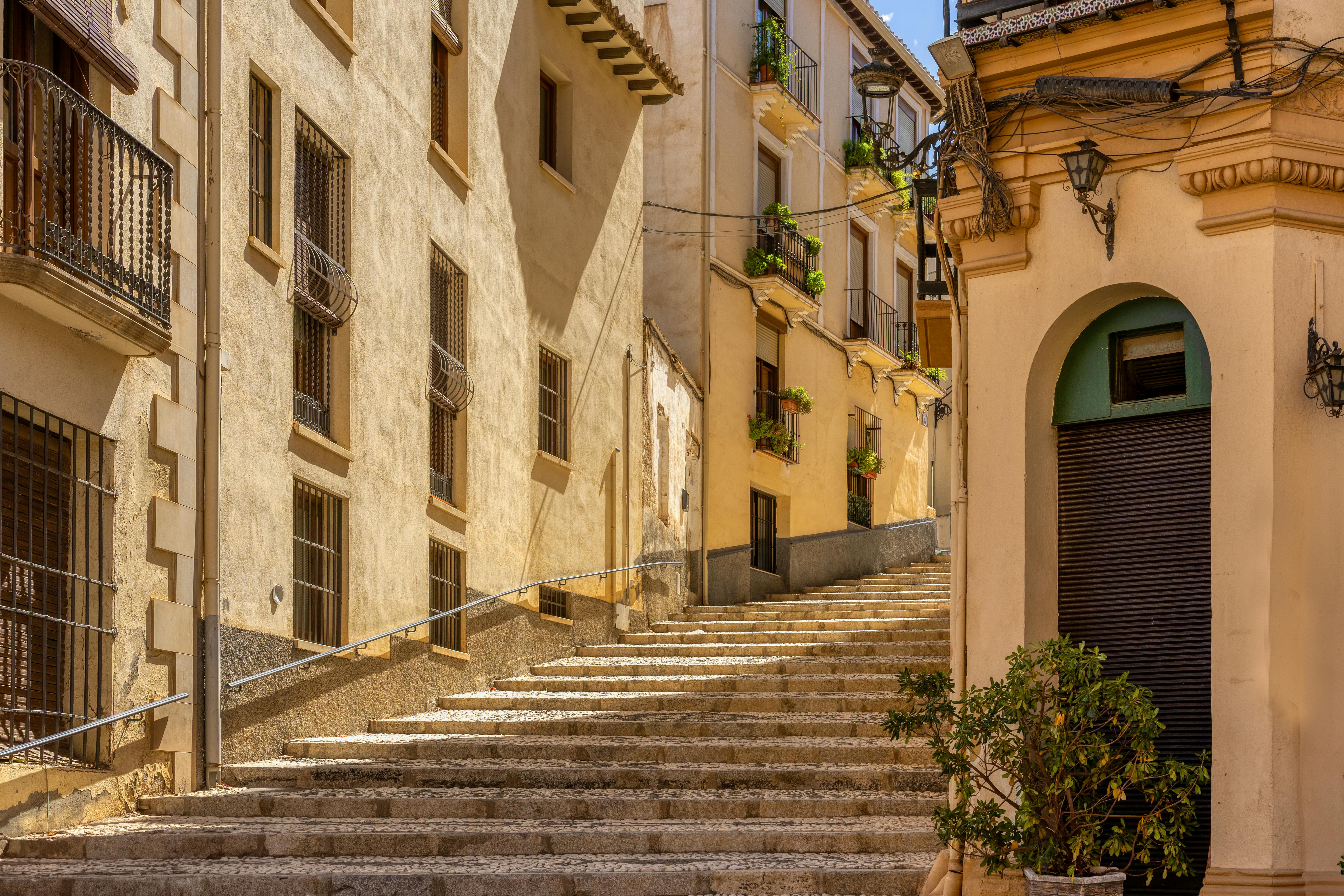 Allan Watson - 사진