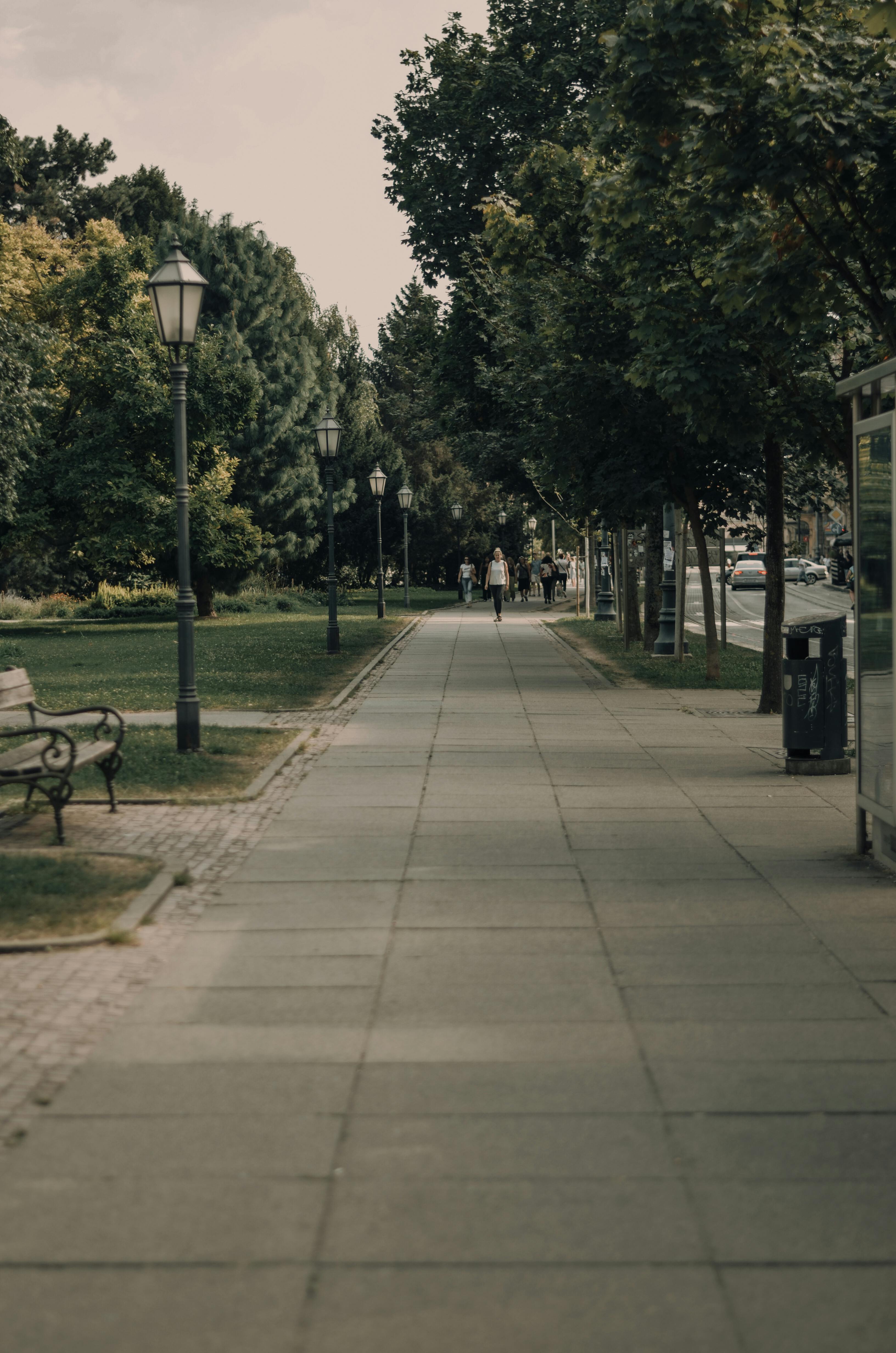 Pavement Path in Urban Park · Free Stock Photo