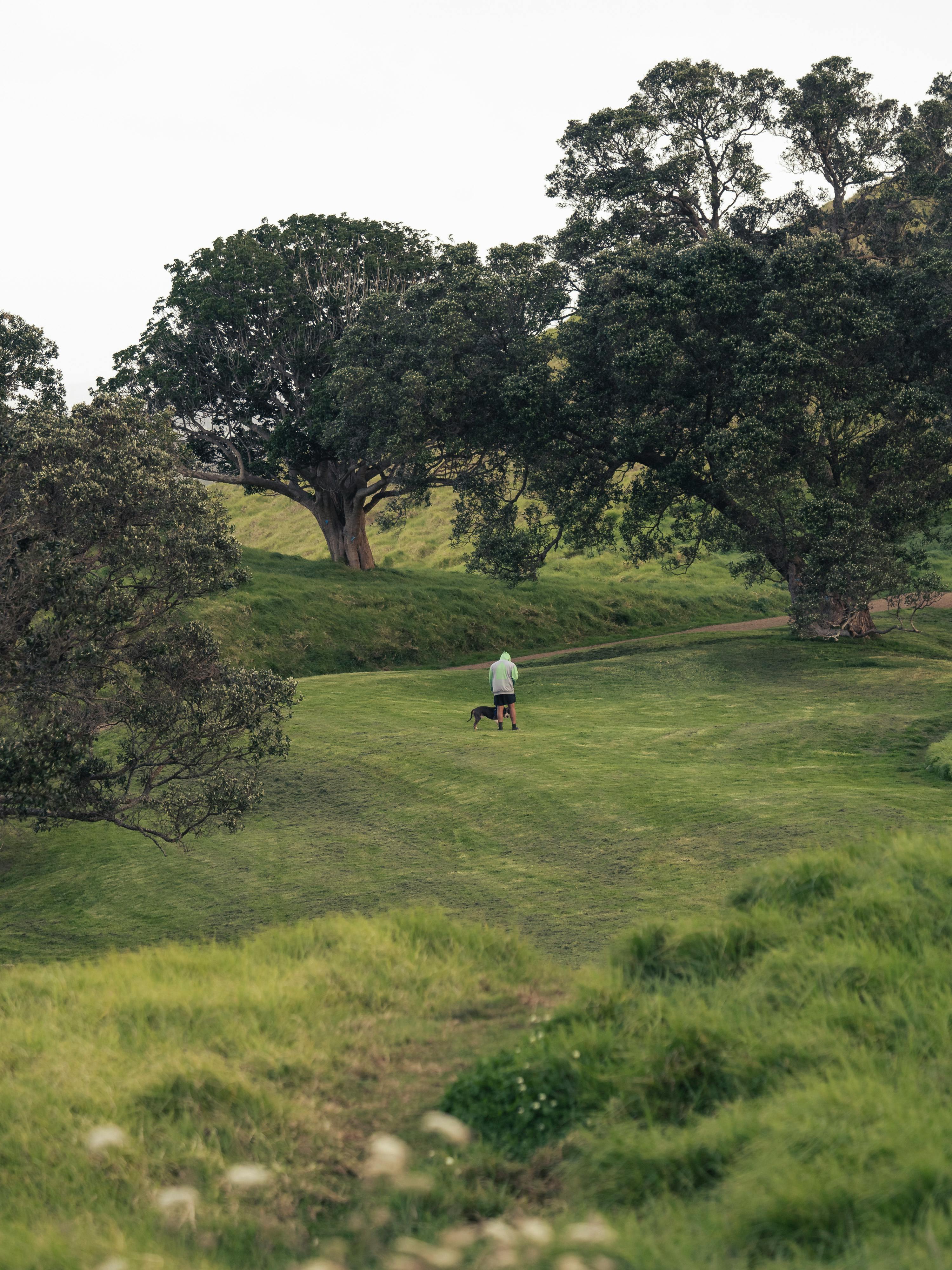 Man with Dog among Trees · Free Stock Photo