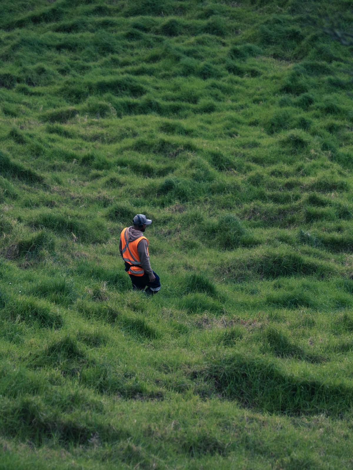 Bog Photos, Download The BEST Free Bog Stock Photos & HD Images