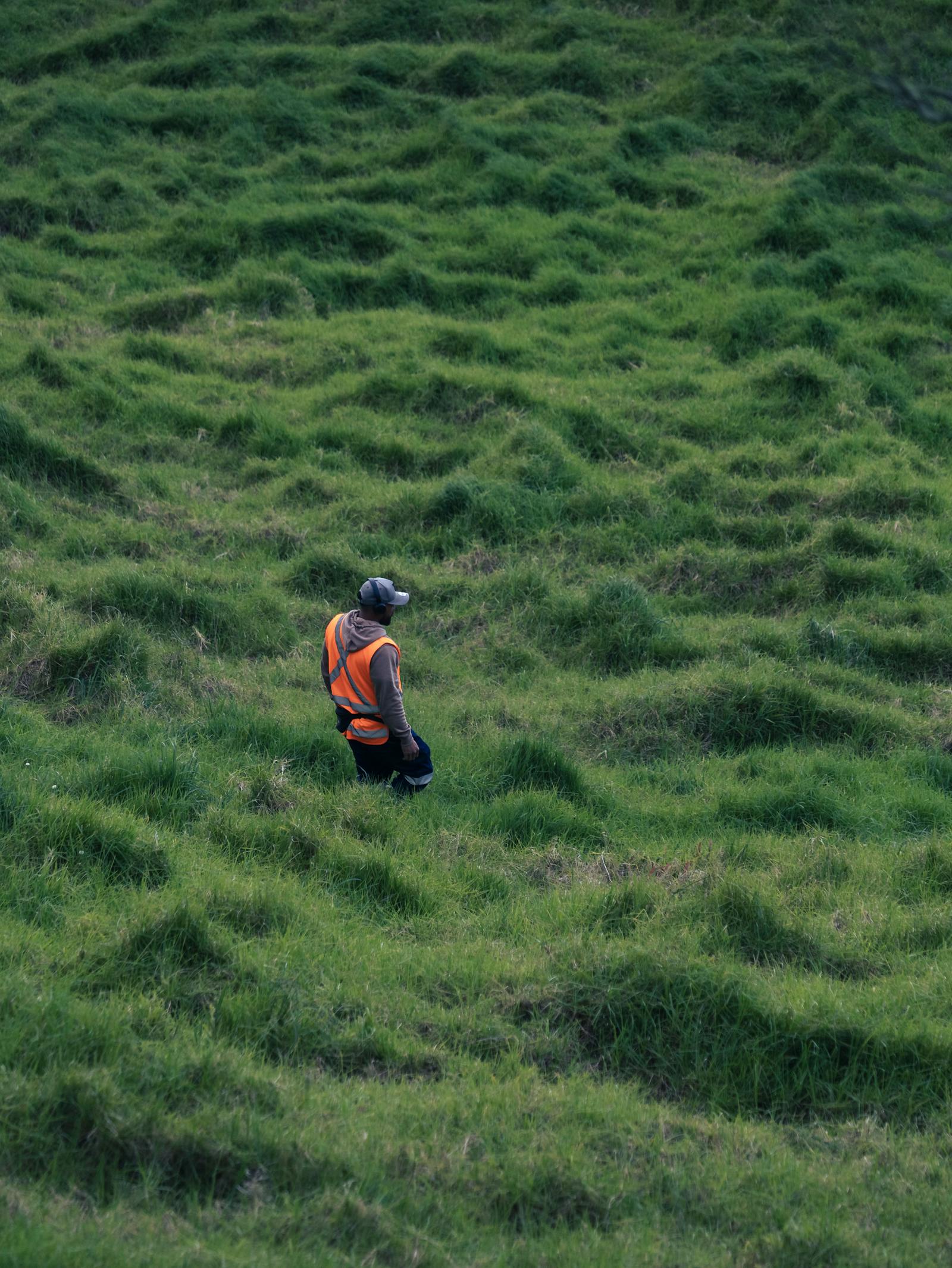 Bog Photos, Download The BEST Free Bog Stock Photos & HD Images