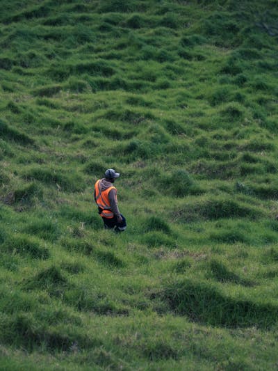 Bog Photos, Download The BEST Free Bog Stock Photos & HD Images