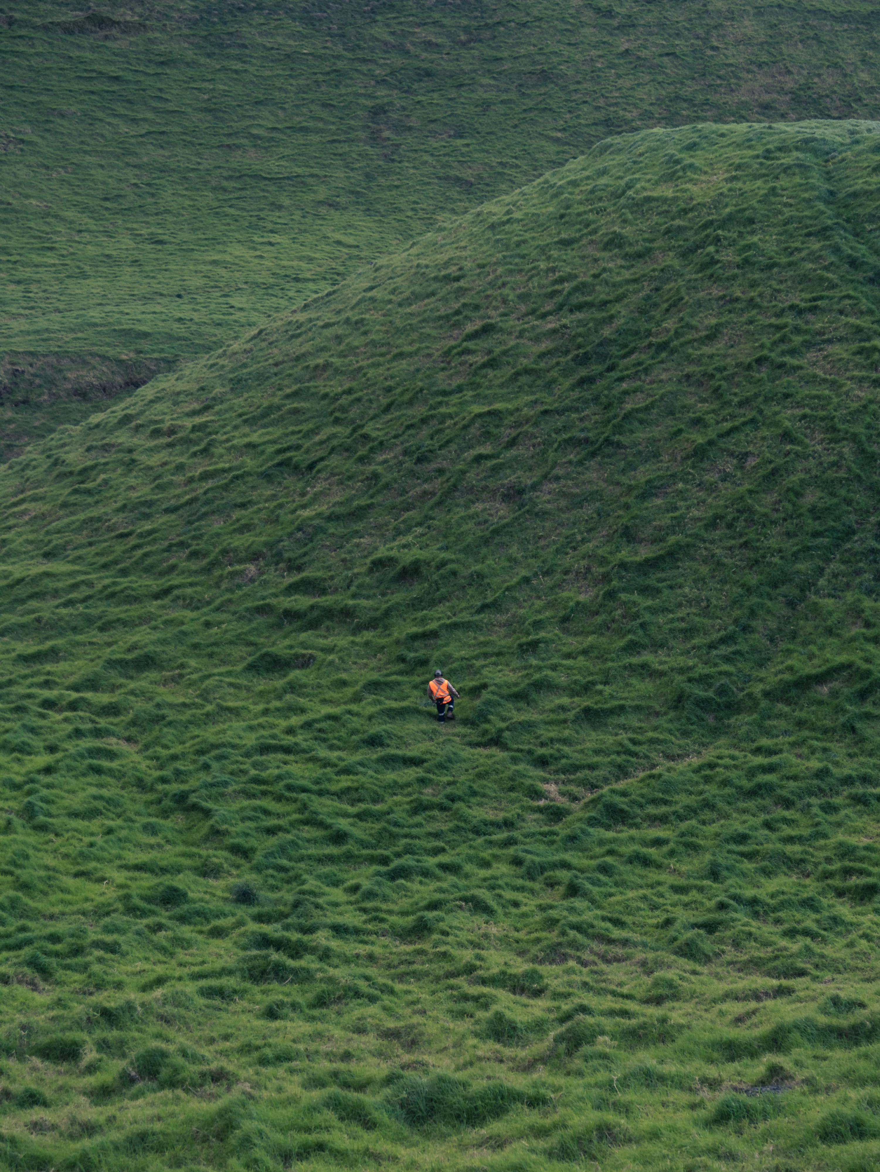 Wandering Photos, Download The BEST Free Wandering Stock Photos & HD Images