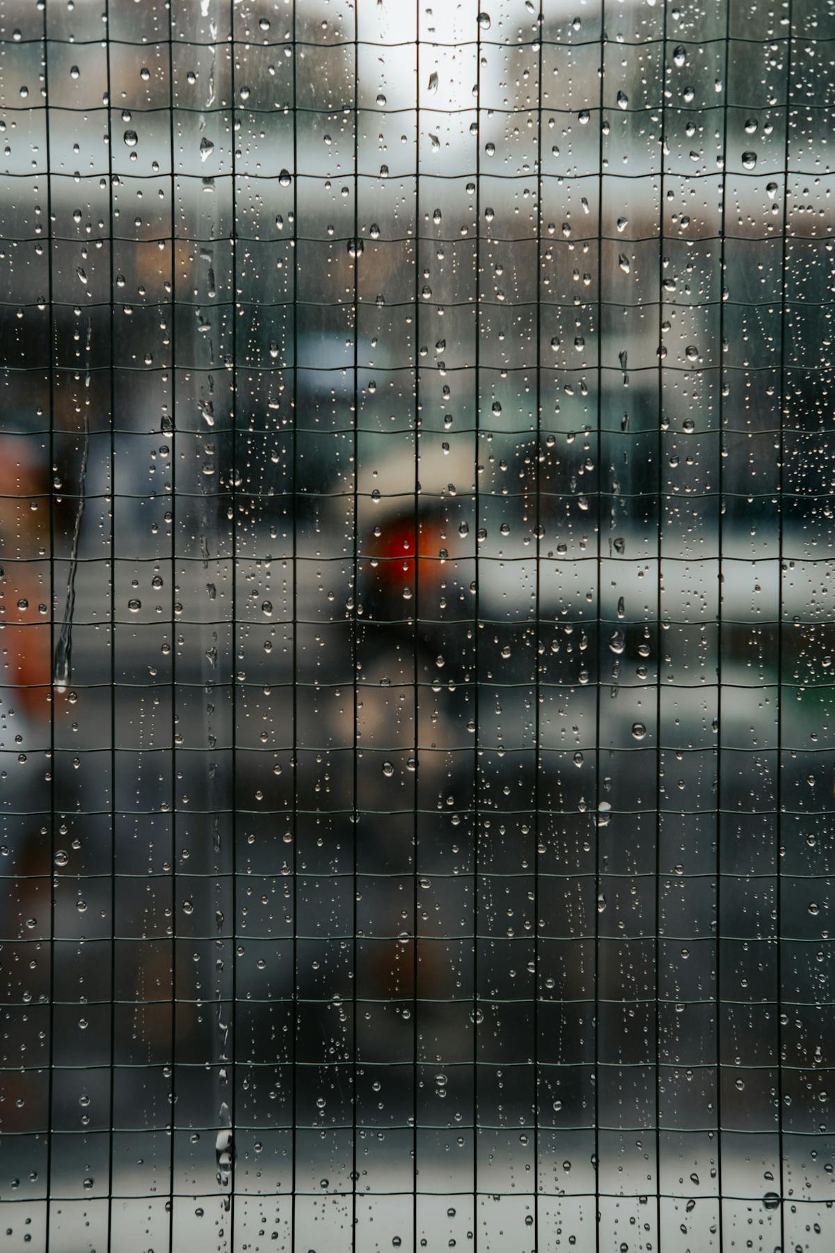 Rain] Photos, Download The BEST Free Rain] Stock Photos & HD Images