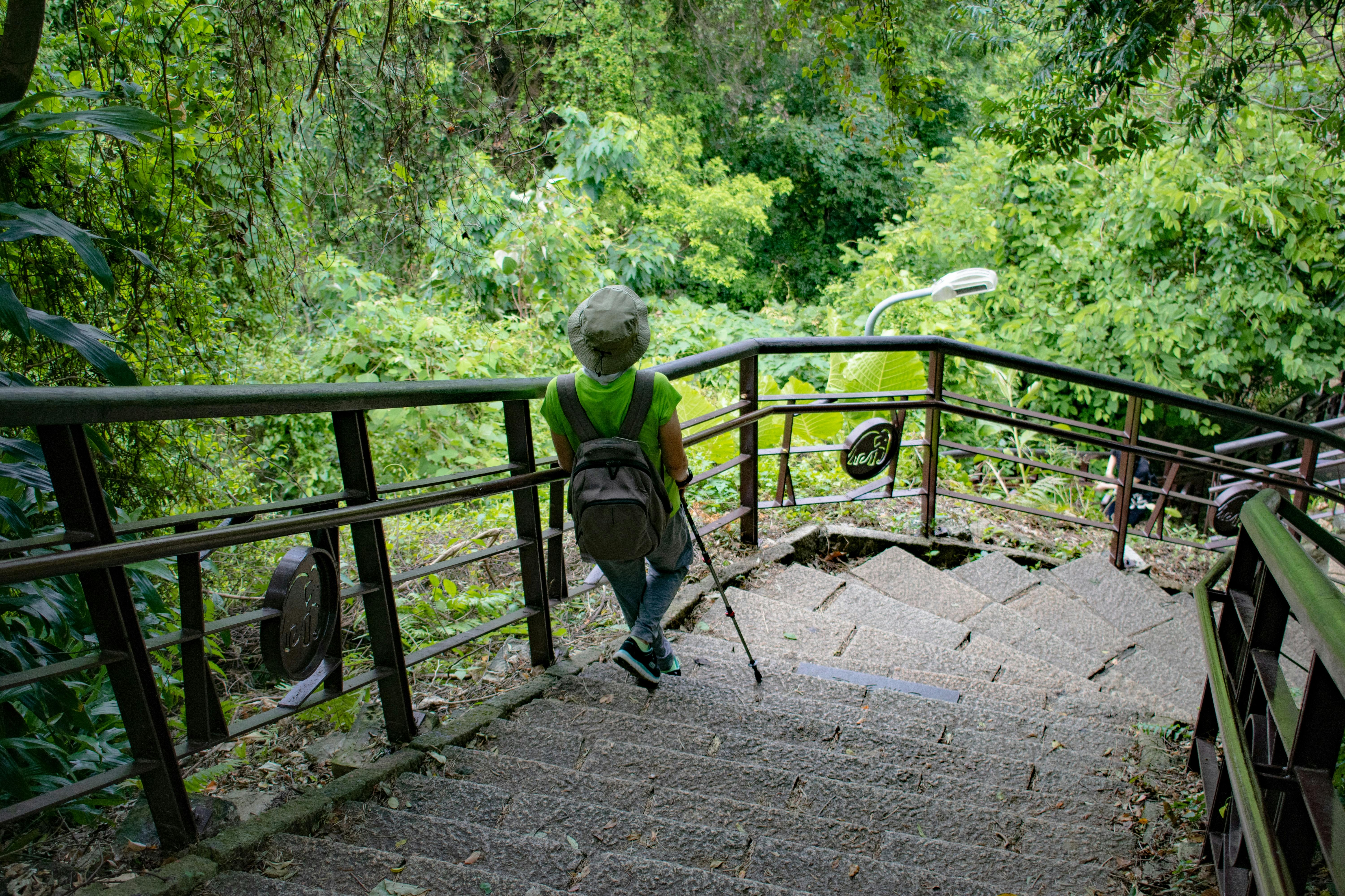 Hiker on Steps in Park · Free Stock Photo