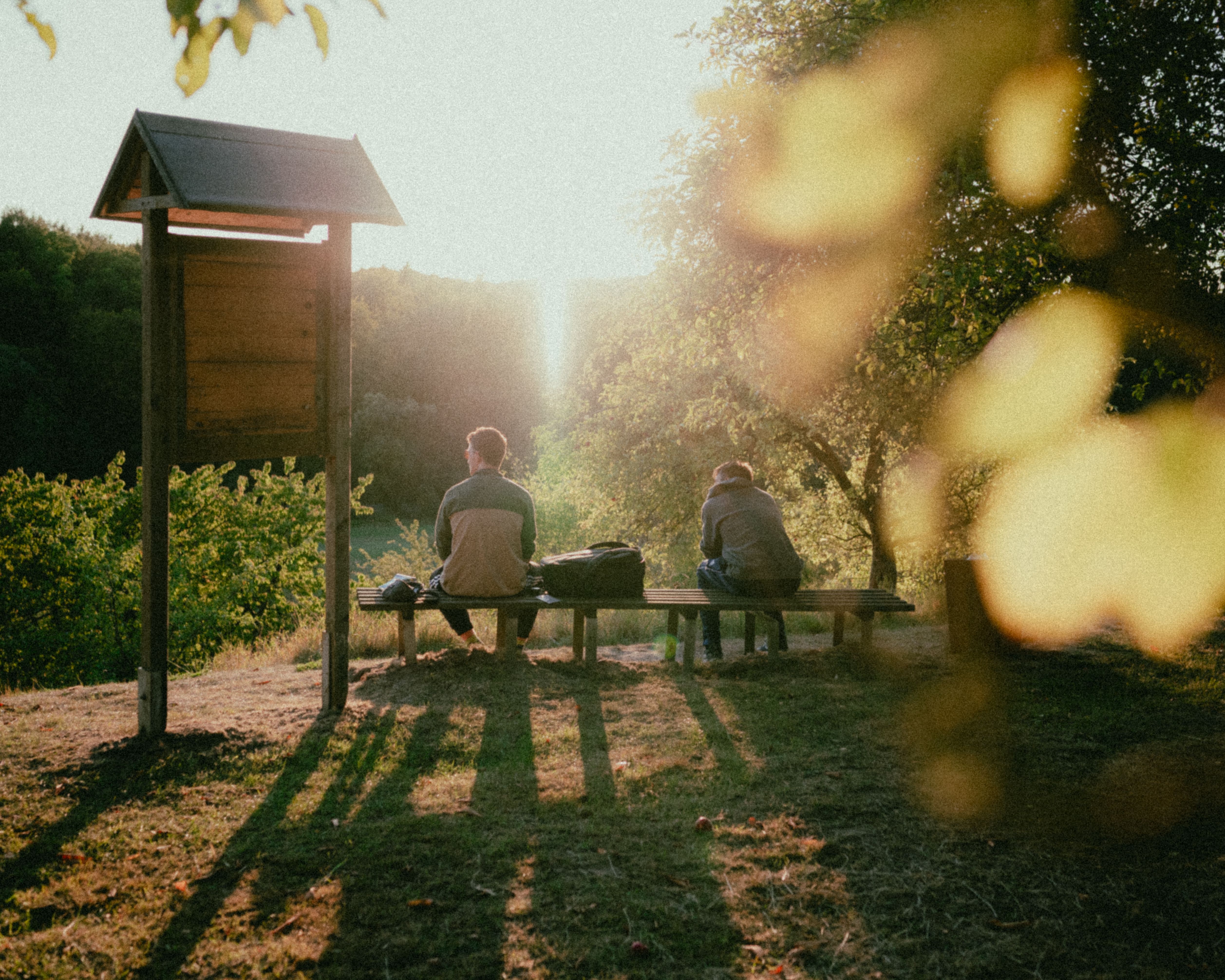 Back View of People Sitting on a Bench in a Park · Free Stock Photo