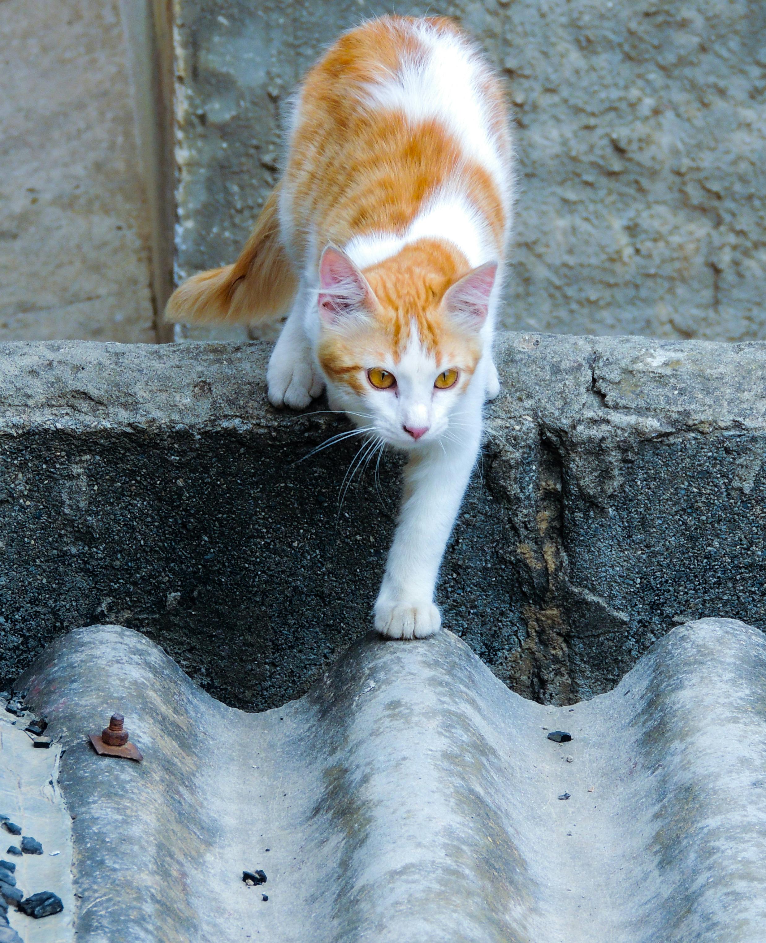 Fart Photos, Download The BEST Free Fart Stock Photos & HD Images