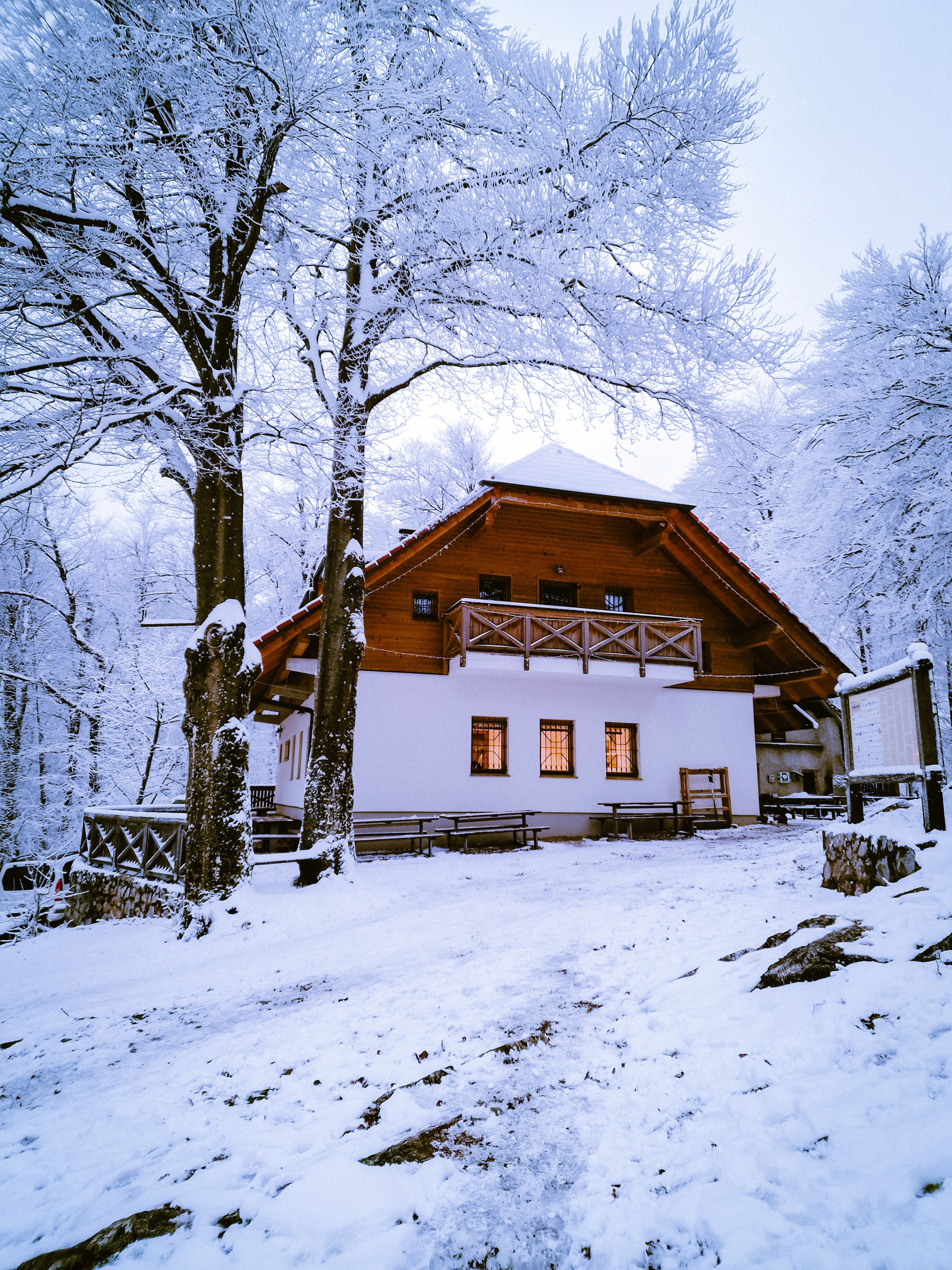 Winter landscape with wooden cottage in snowy forest · Free Stock Photo