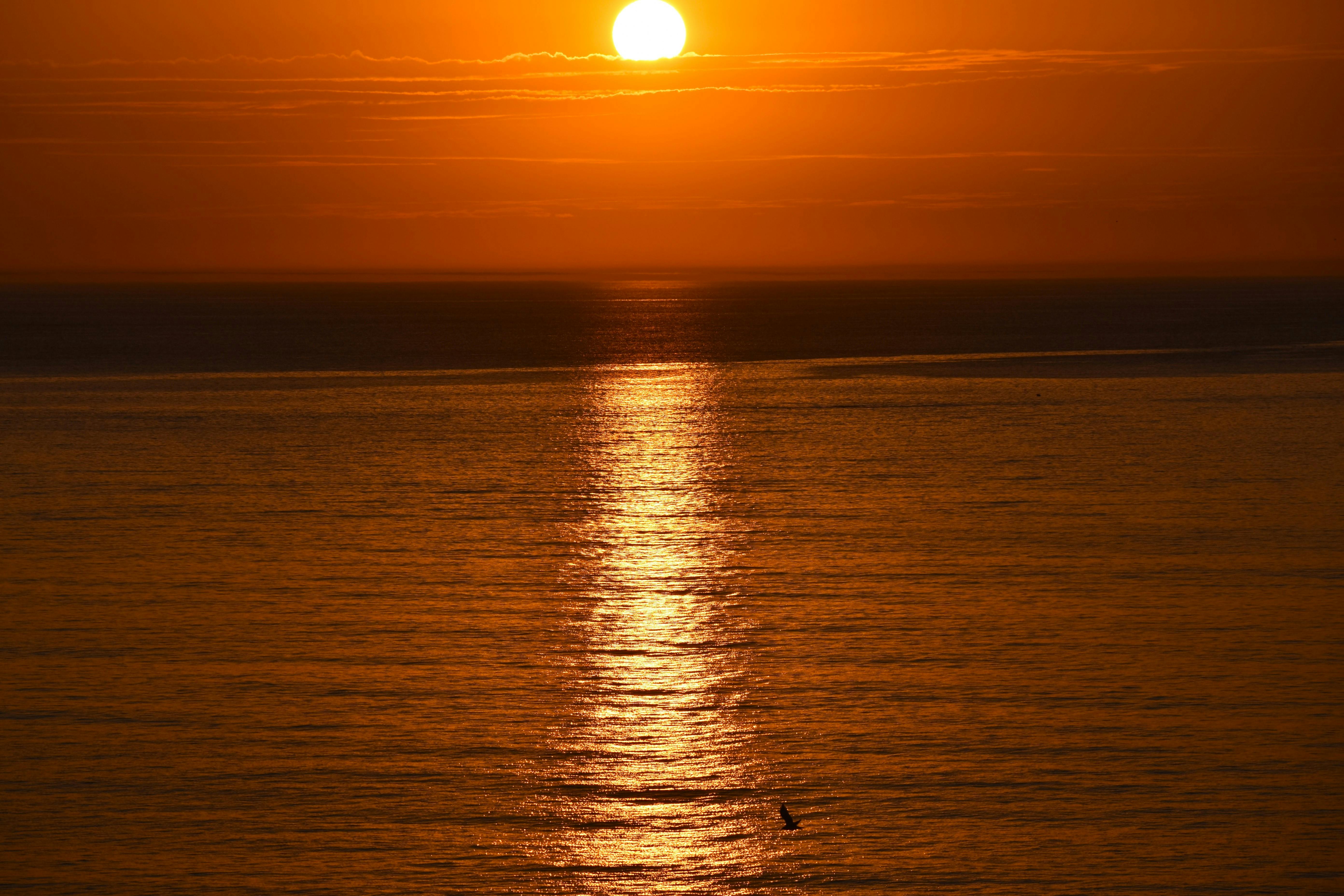 Red Sky over Sea at Sunset · Free Stock Photo