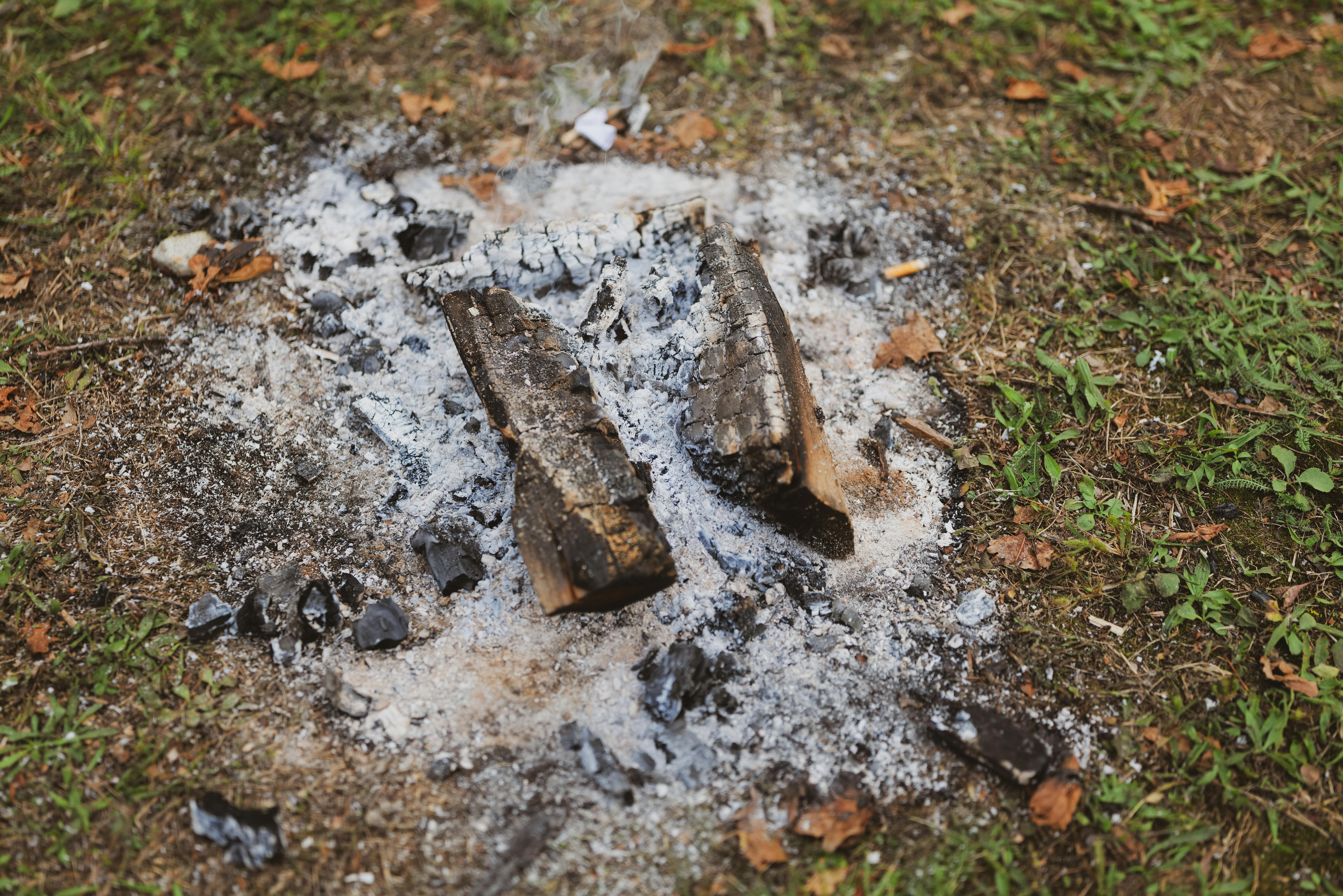 Ash left from a Small Campfire · Free Stock Photo