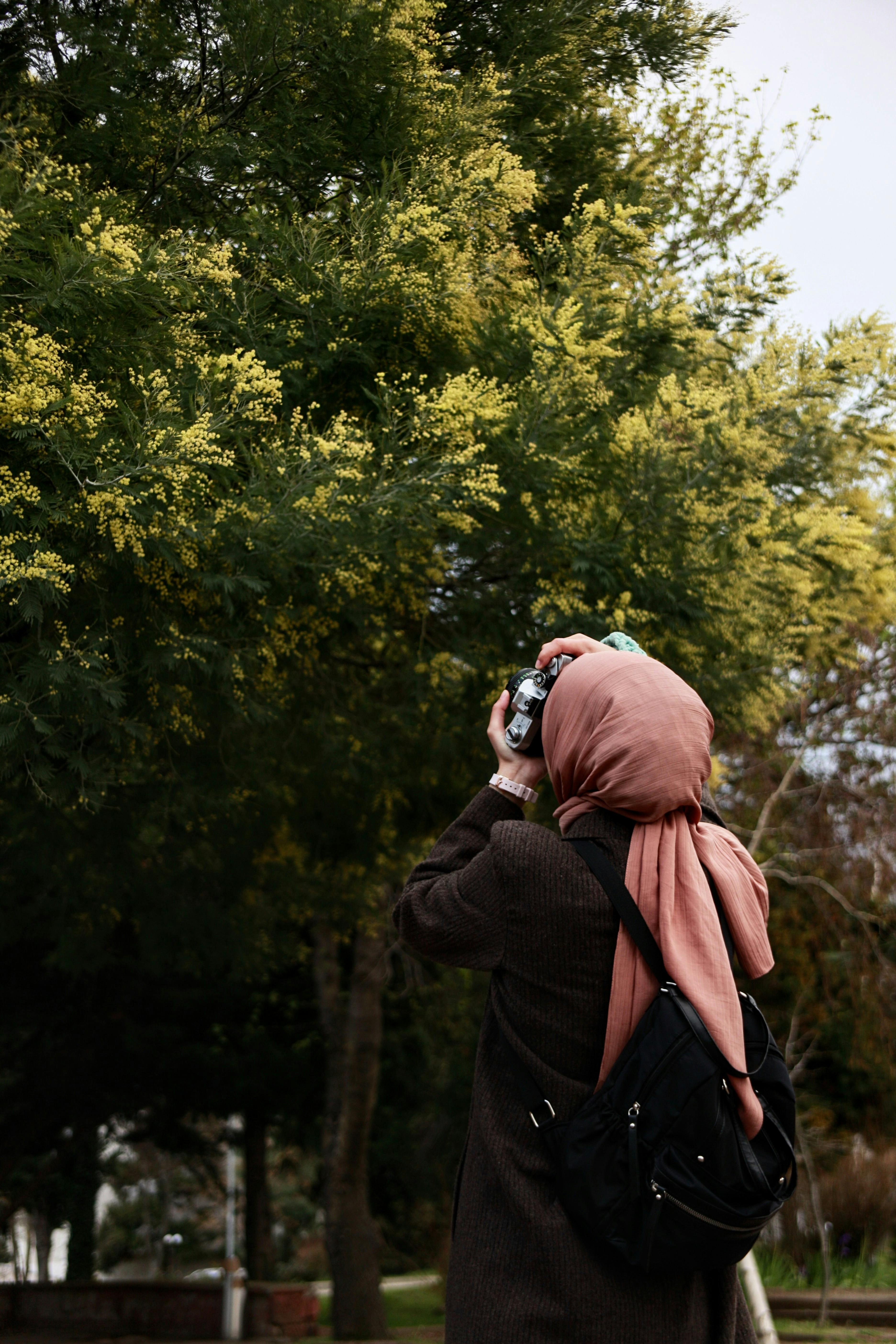 Back View of Women in Hijabs on Sea Shore · Free Stock Photo