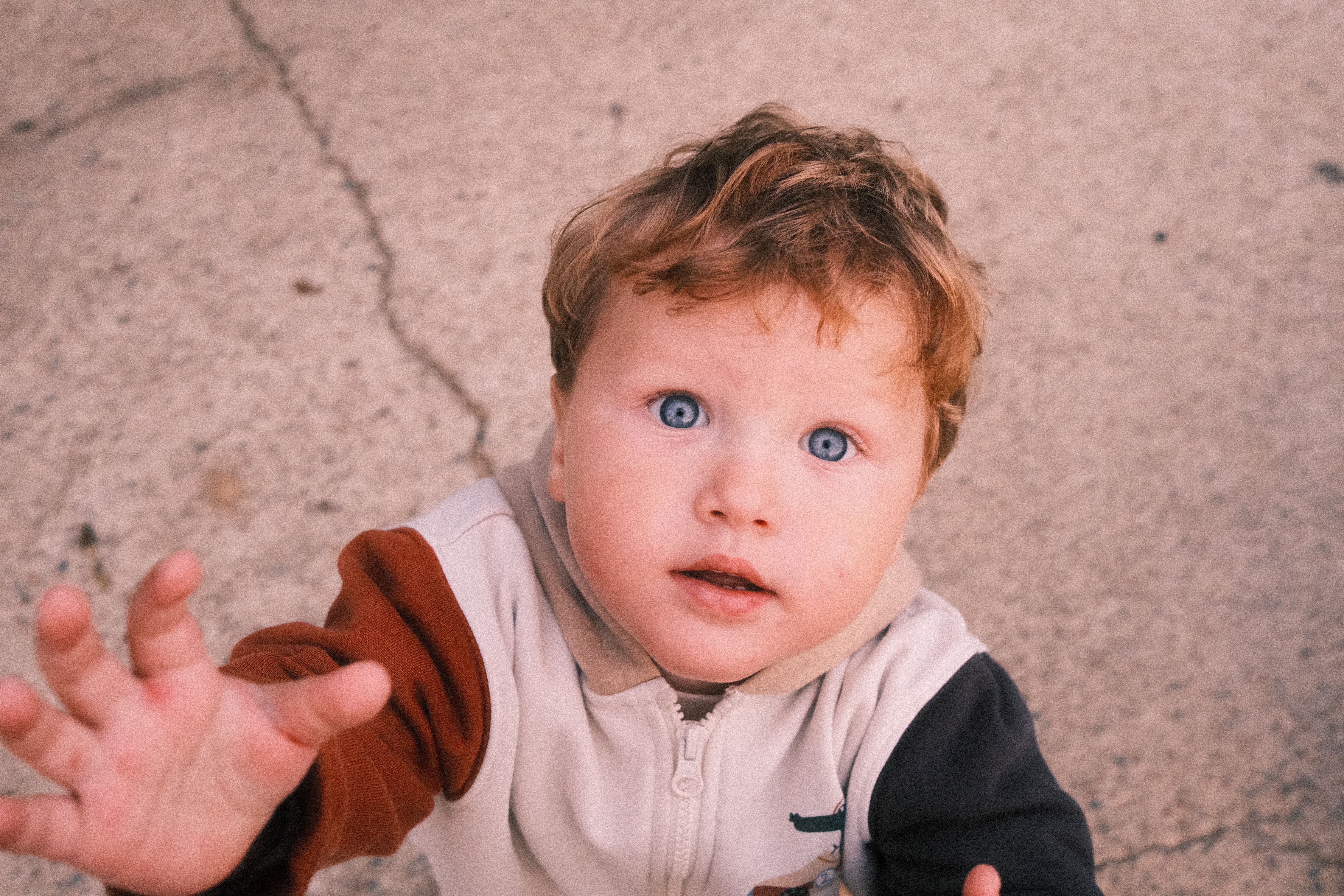 A young boy with blue eyes looking up at the camera · Free Stock Photo