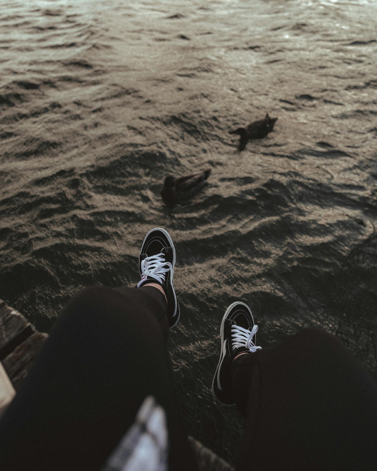 Duck Legs Photos, Download The BEST Free Duck Legs Stock Photos & HD Images