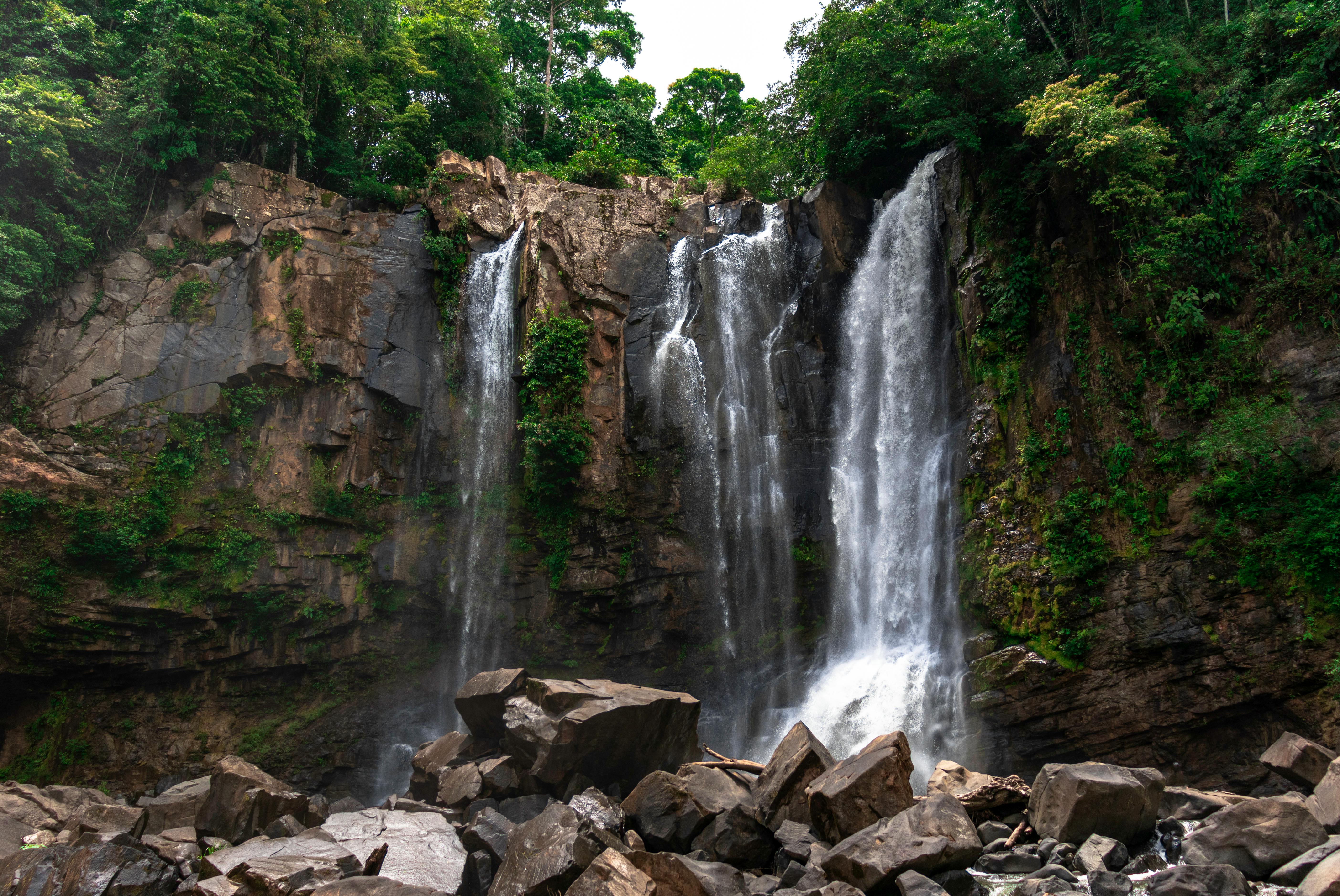 Waterfall on Rocks in Green Forest · Free Stock Photo