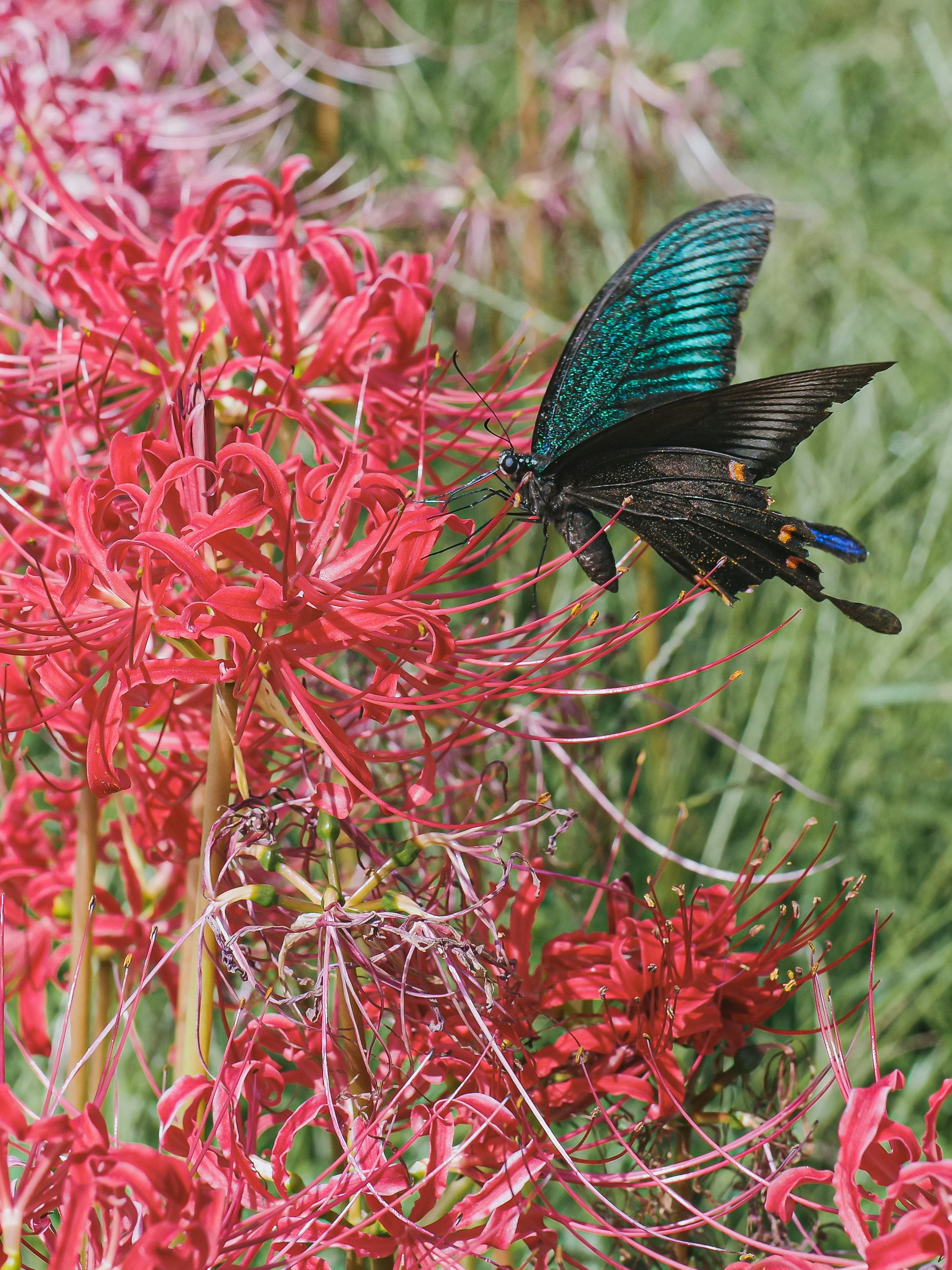 Takuya Sakamoto - Photography