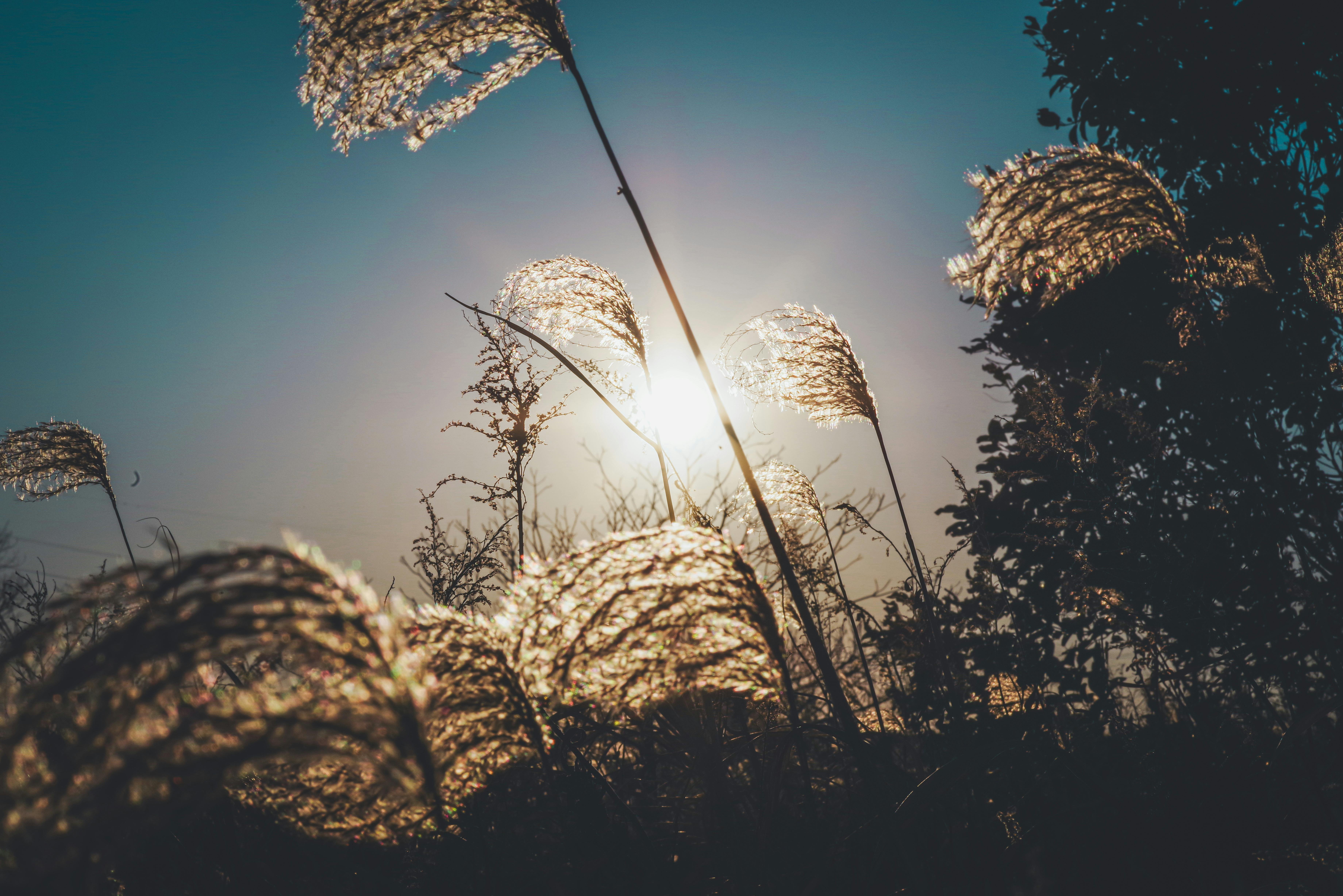 Takuya Sakamoto - 摄影