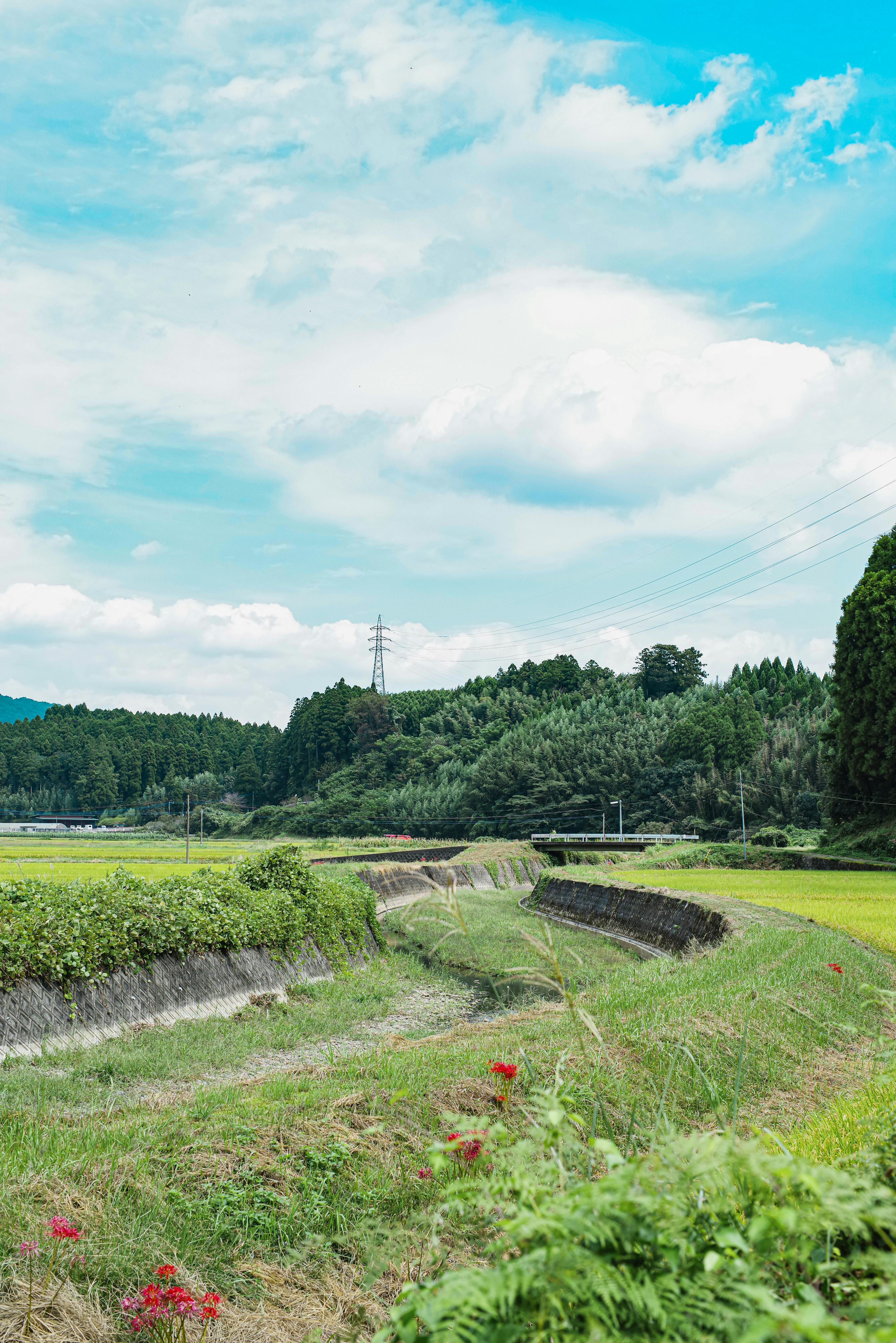 Takuya Sakamoto - 摄影