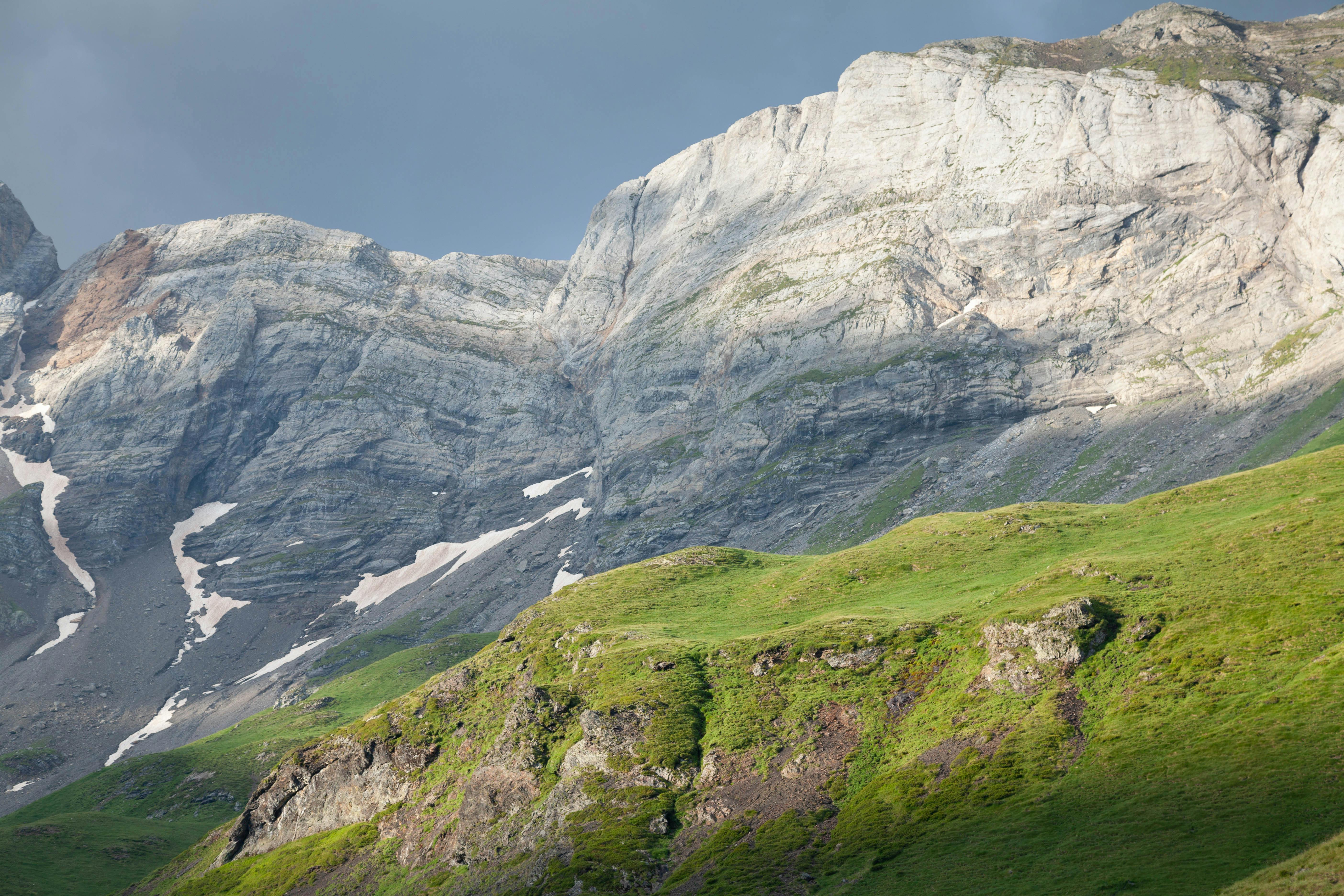 Grassland in Rocky Mountains · Free Stock Photo