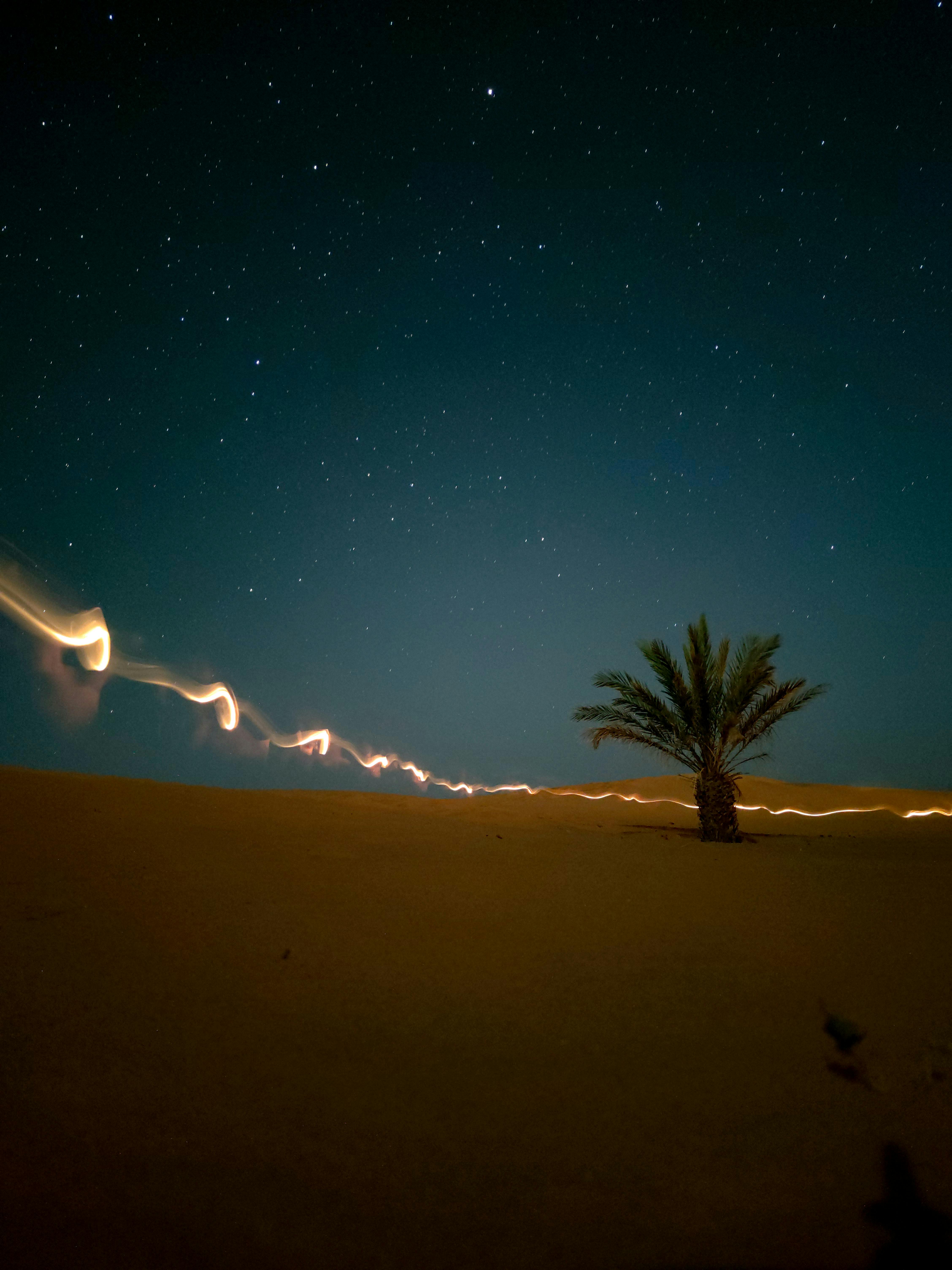 Light Trail in Desert · Free Stock Photo
