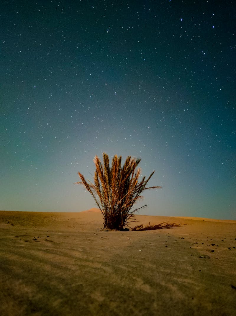 Wallpaper Desert Night Photos, Download The BEST Free Wallpaper Desert ...