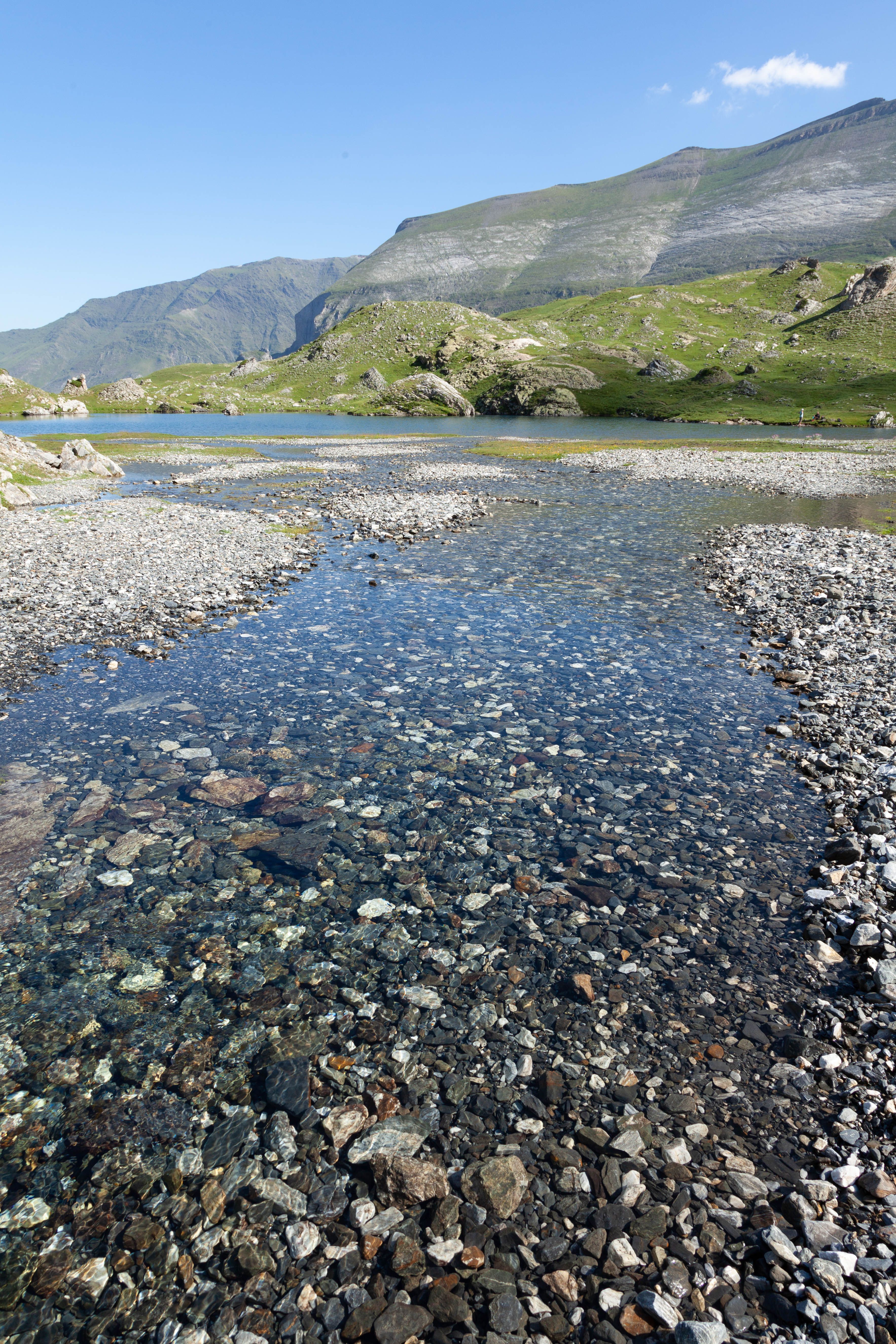 Shallow Stream in Valley · Free Stock Photo