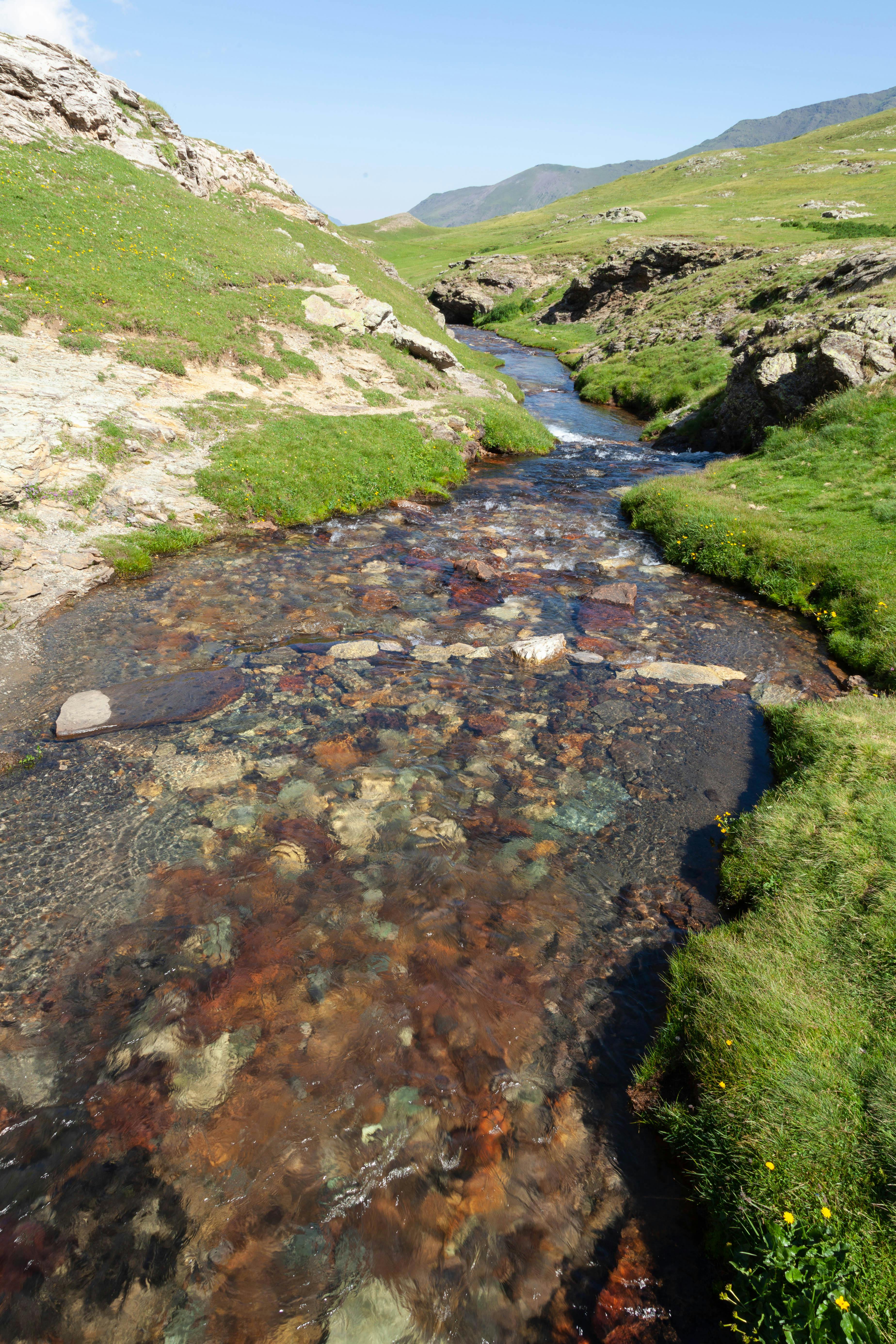 Shallow Stream in Valley · Free Stock Photo