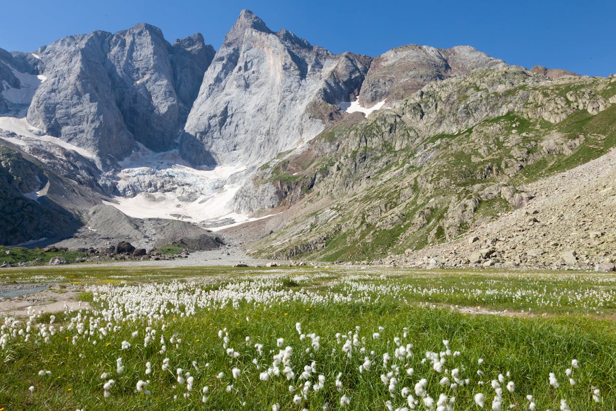 Flower Valley Wallpaper Photos, Download The BEST Free Flower Valley ...