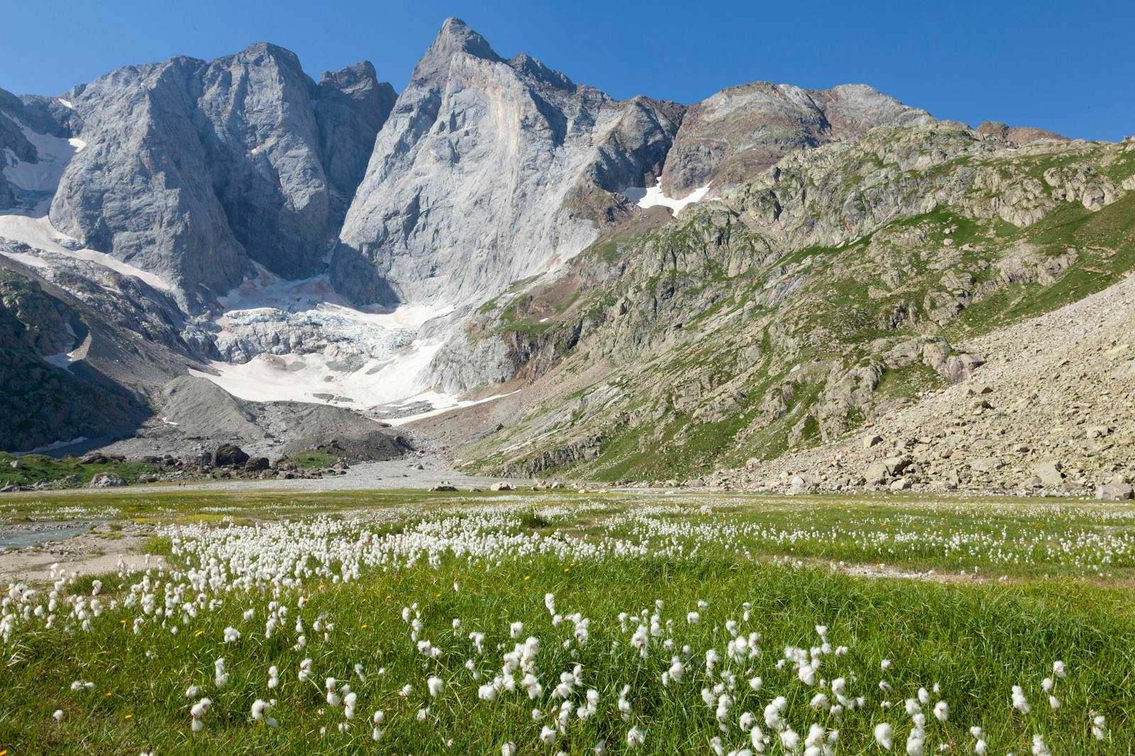 Flower Valley Wallpaper Photos, Download The BEST Free Flower Valley ...