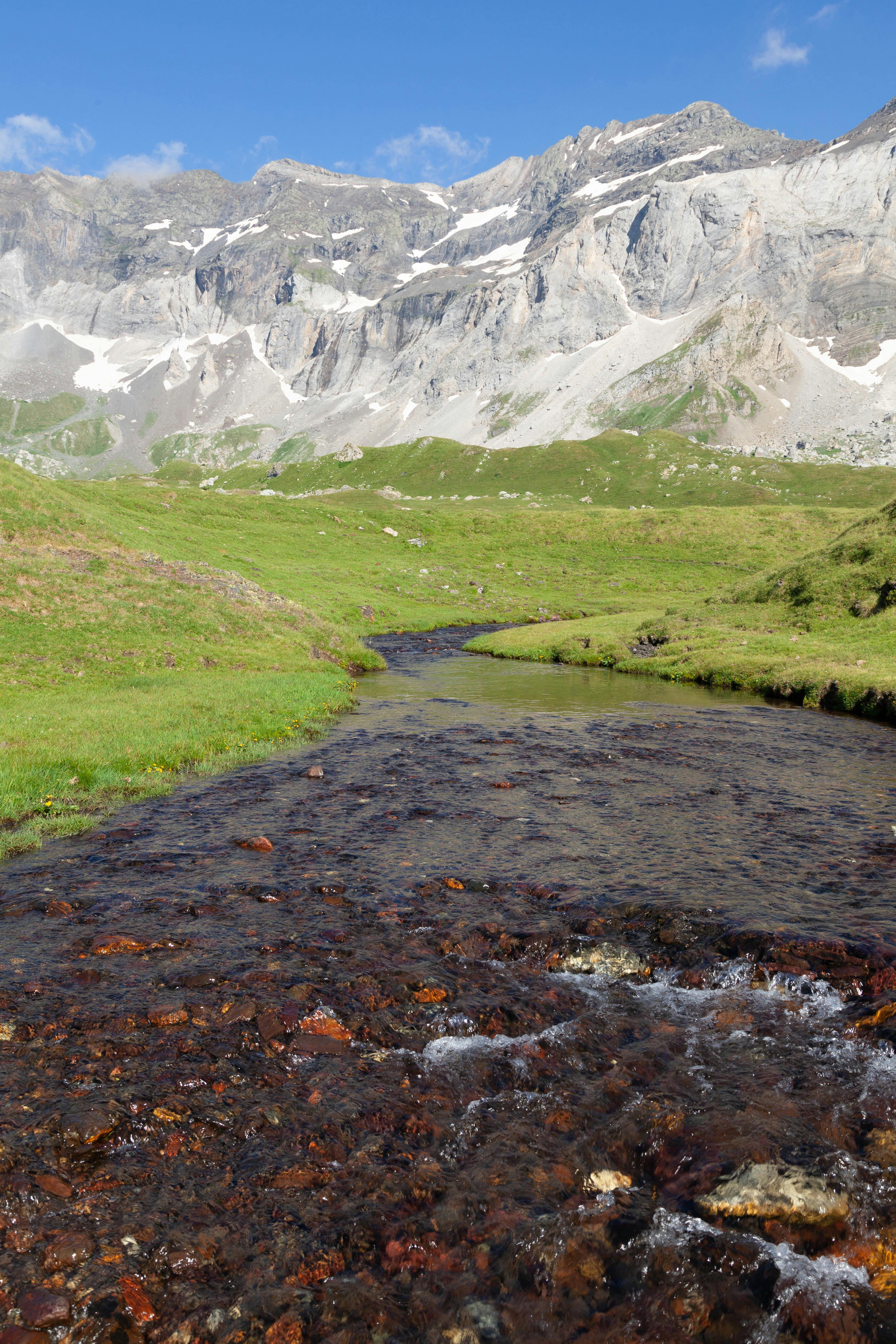 Calm Stream Photos, Download The BEST Free Calm Stream Stock Photos ...